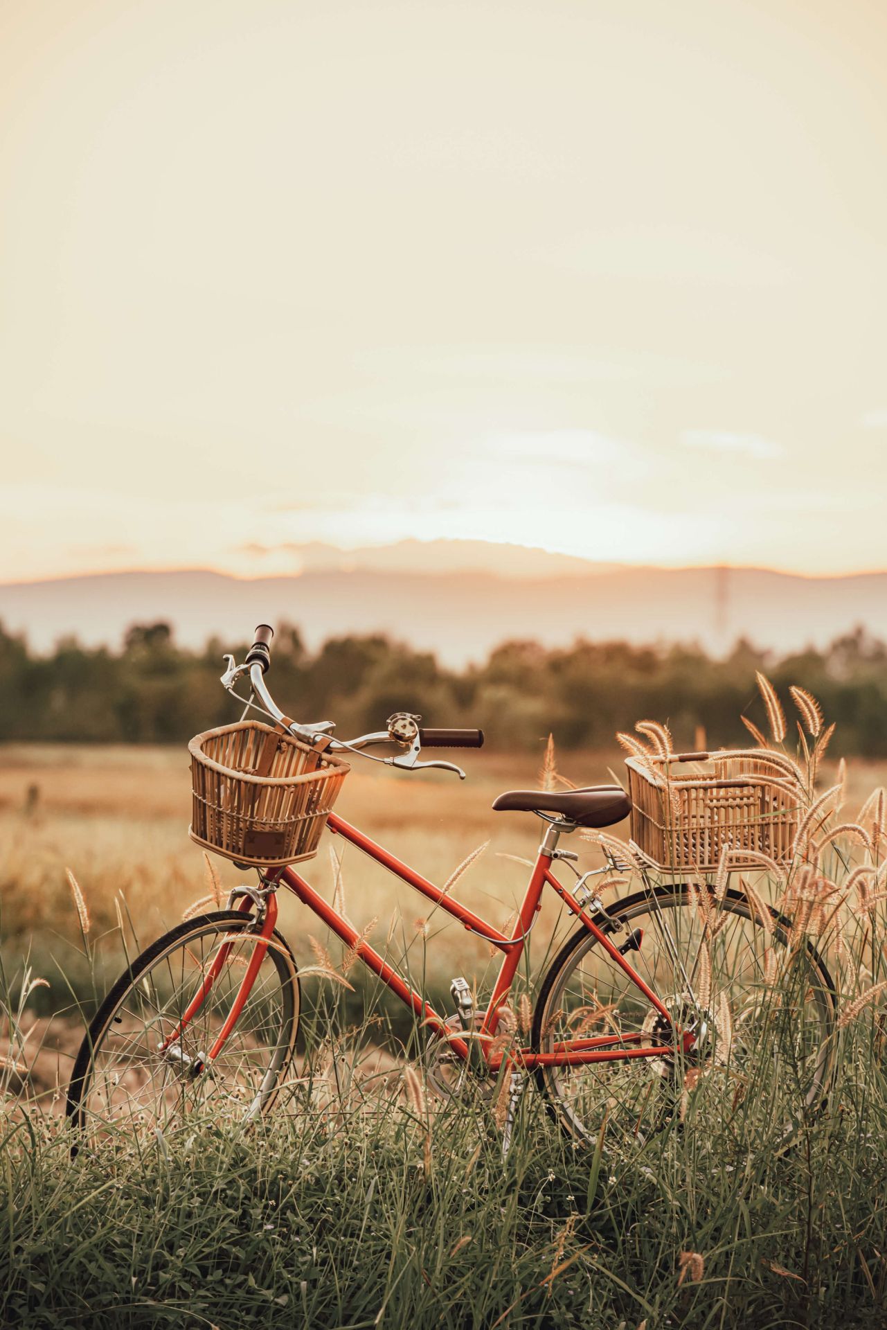 Retro Bike Wallpapers - Top Free Retro Bike Backgrounds - WallpaperAccess