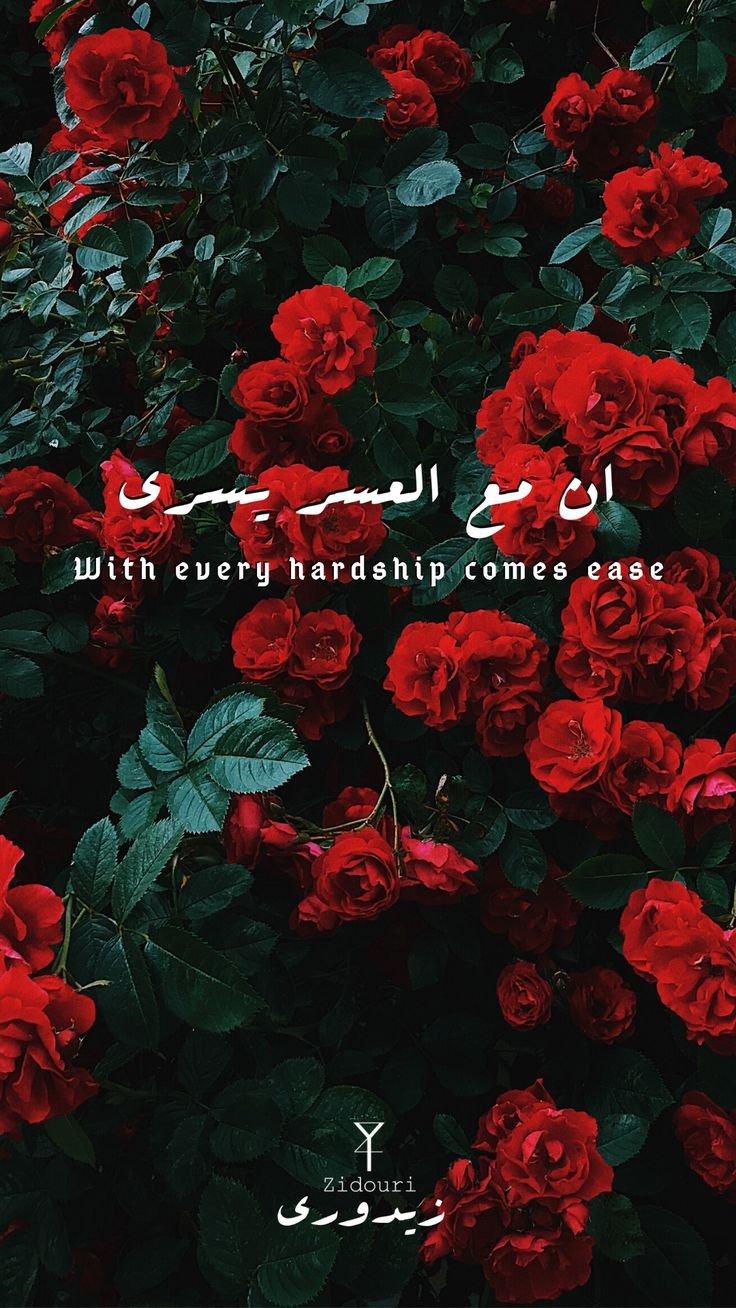 Hardship Wallpapers - Top Free Hardship Backgrounds - WallpaperAccess