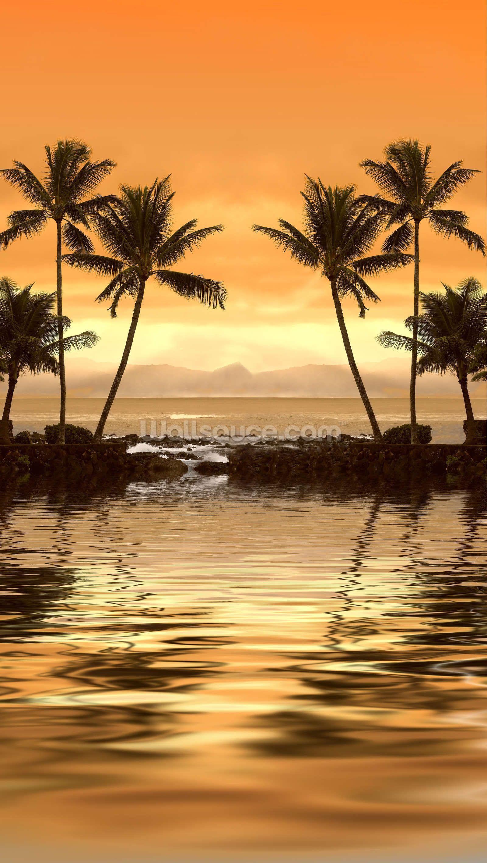 Tropical Sunset Wallpapers - Top Free Tropical Sunset Backgrounds ...