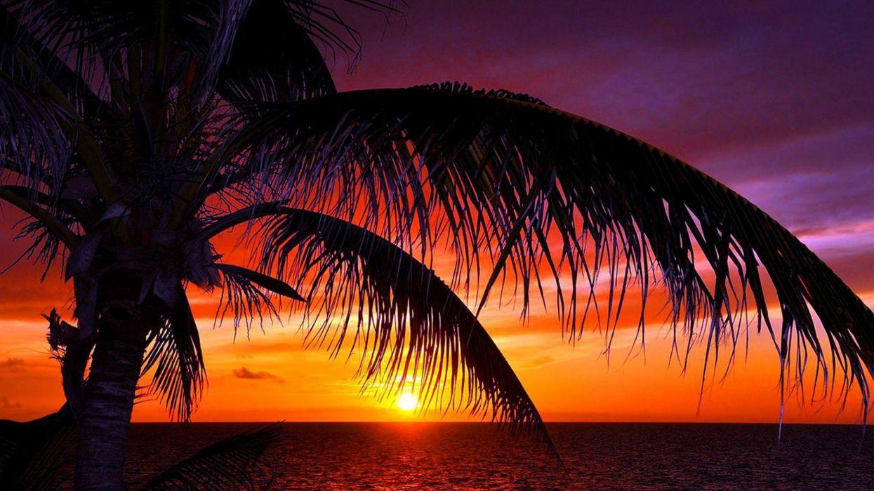 Tropical Sunset Wallpapers - Top Free Tropical Sunset Backgrounds ...