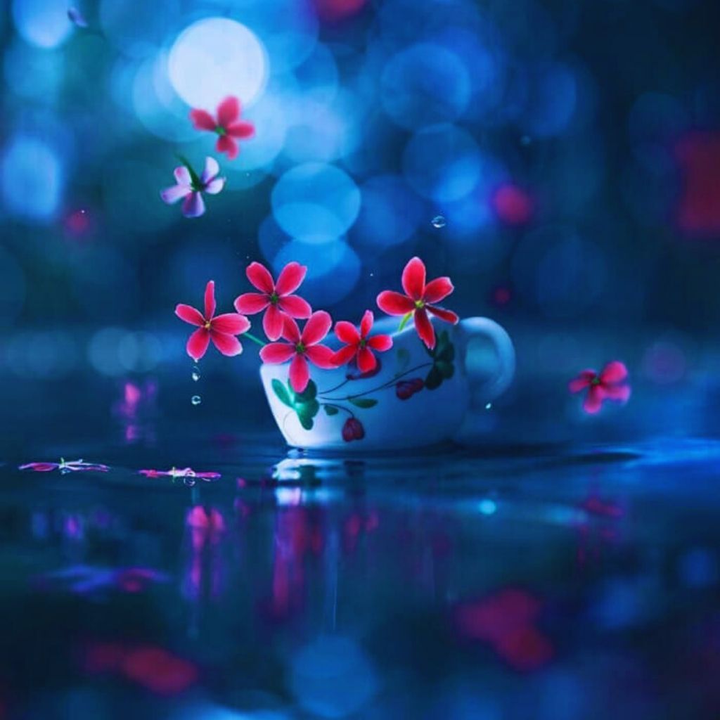 Cool Dp Wallpapers - Top Free Cool Dp Backgrounds - WallpaperAccess