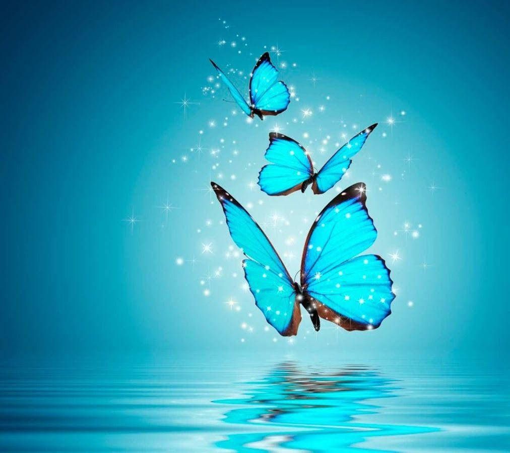 Cool Dp Wallpapers - Top Free Cool Dp Backgrounds - WallpaperAccess