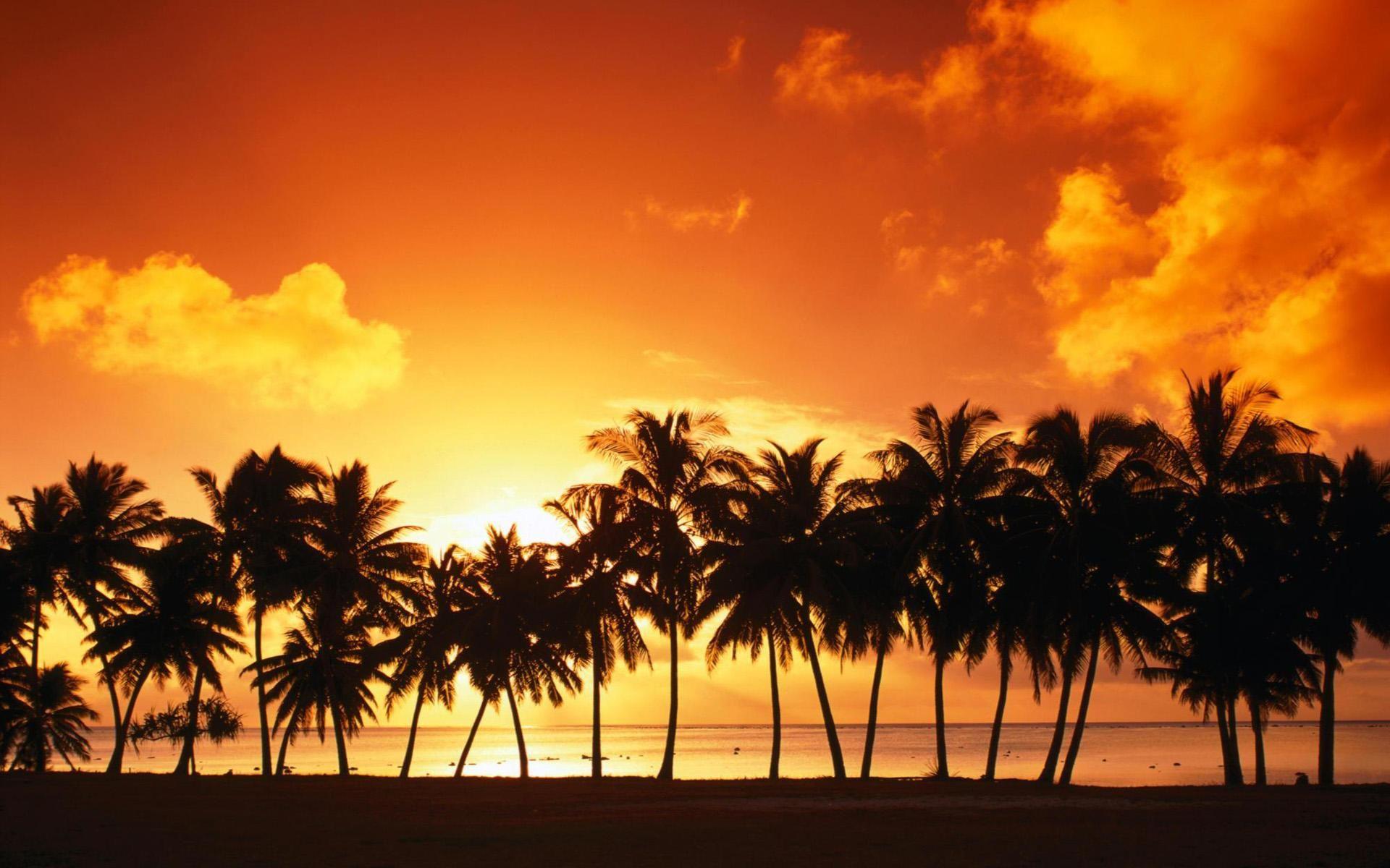 Tropical Sunset Wallpapers - Top Free Tropical Sunset Backgrounds ...
