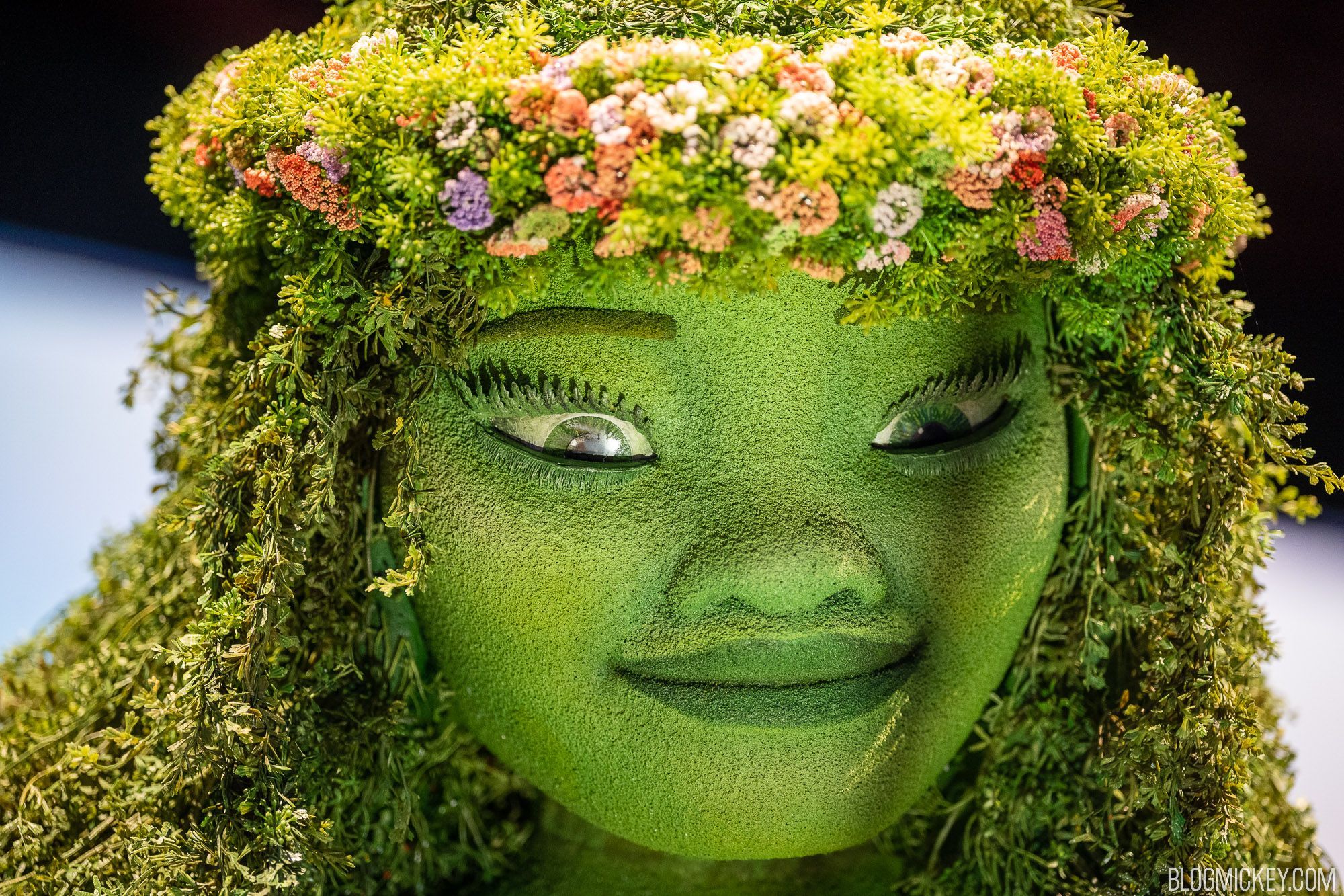 Te Fiti Wallpapers - Top Free Te Fiti Backgrounds - WallpaperAccess