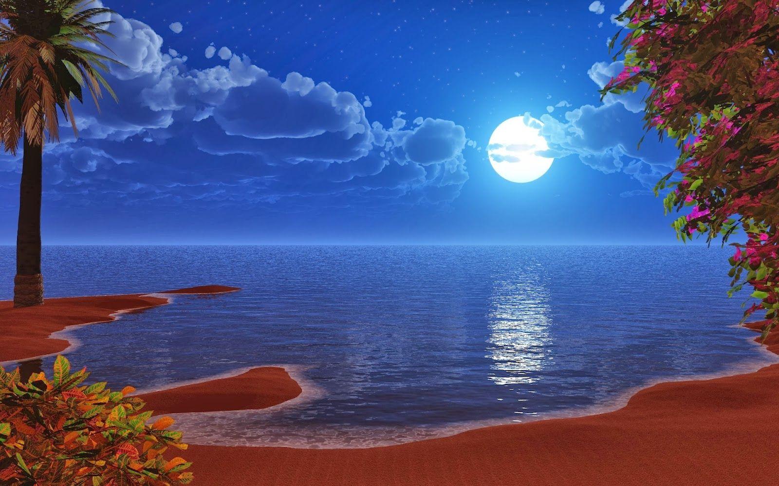 Night Beach Wallpapers - Top Free Night Beach Backgrounds - WallpaperAccess