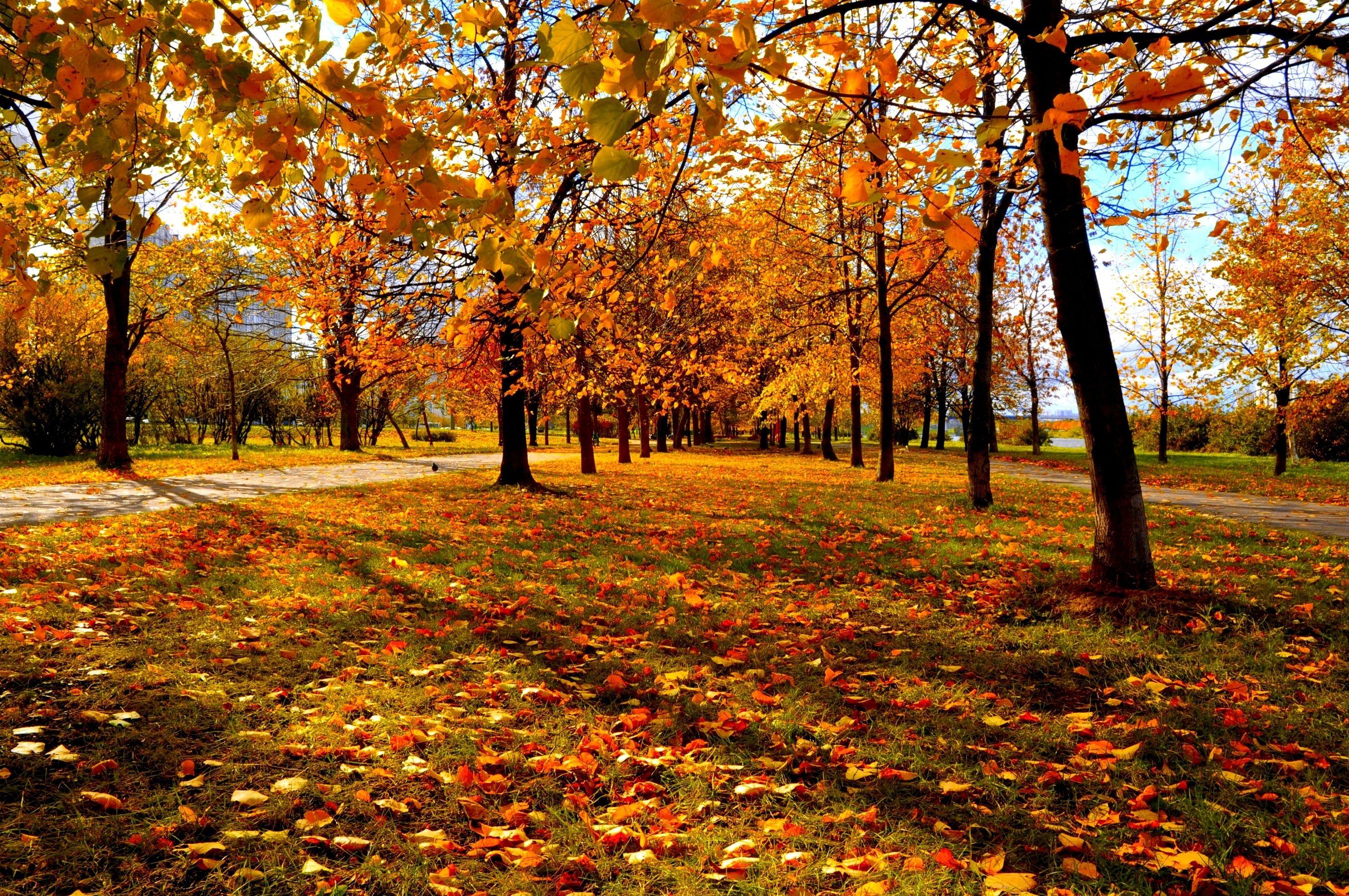 Autumn City Wallpapers - Top Free Autumn City Backgrounds - WallpaperAccess Autumn City Wallpapers - Top Free Autumn City Backgrounds - WallpaperAccess