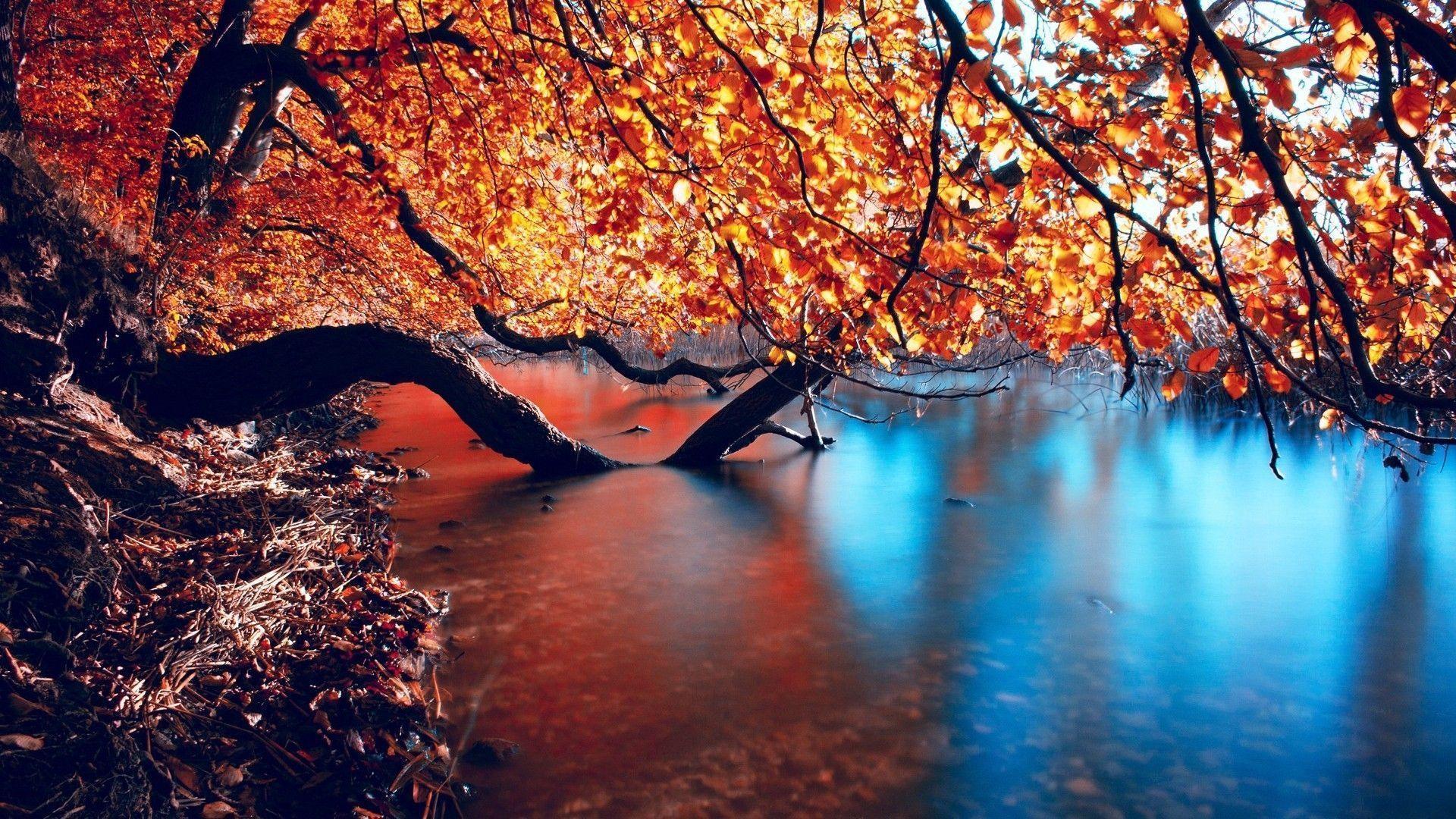 Autumn City Wallpapers - Top Free Autumn City Backgrounds - WallpaperAccess