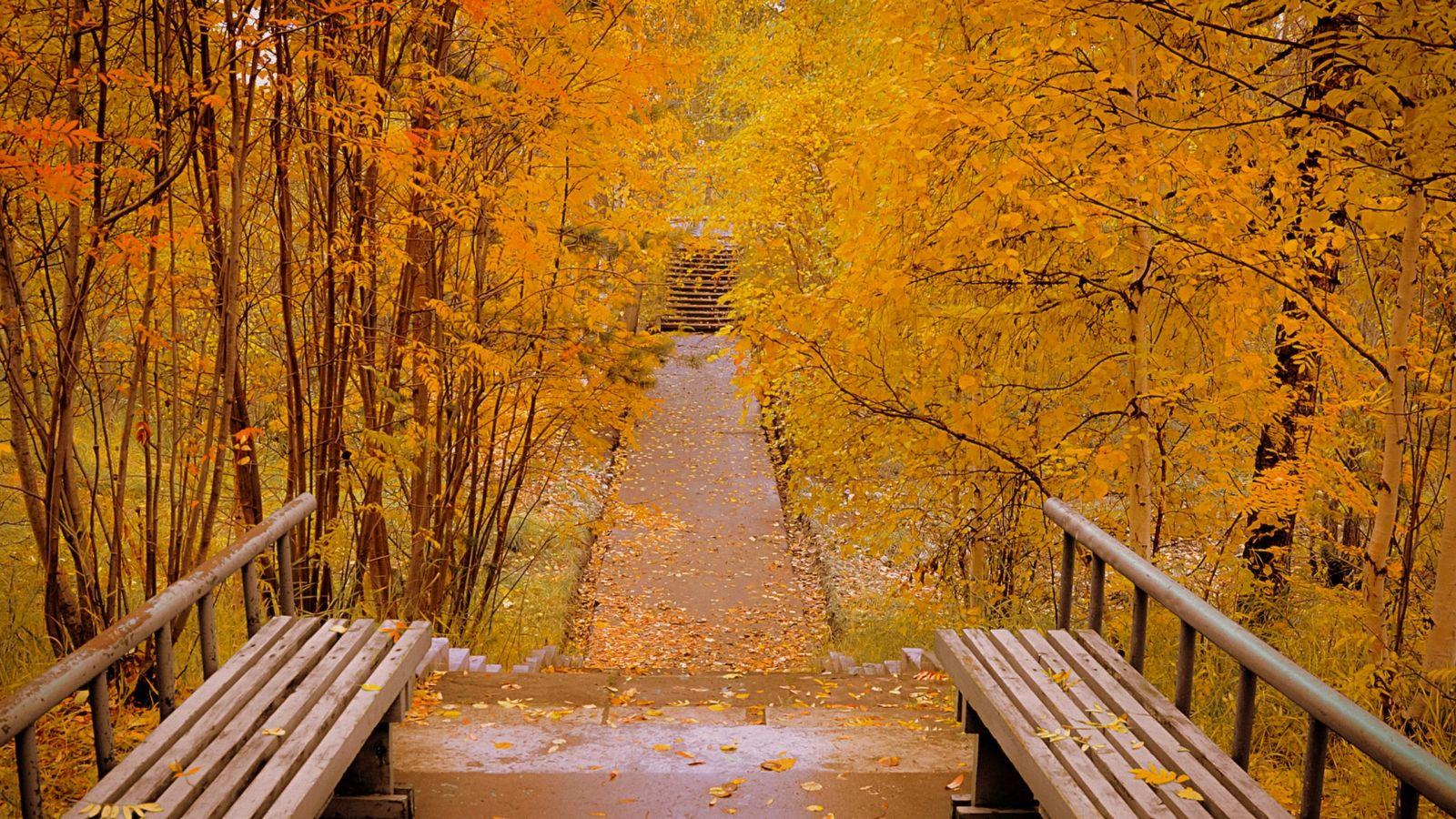 Autumn City Wallpapers - Top Free Autumn City Backgrounds - WallpaperAccess