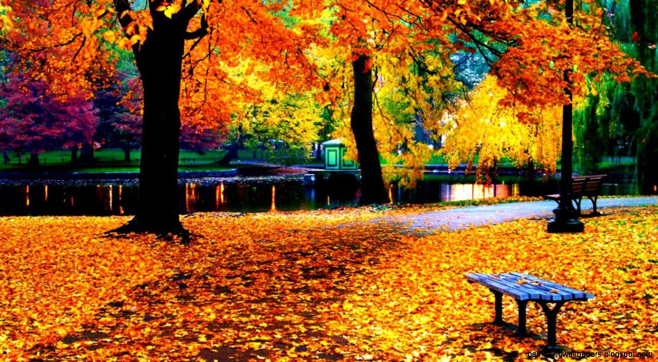 Fall Leaves Wallpapers - Top Free Fall Leaves Backgrounds - WallpaperAccess