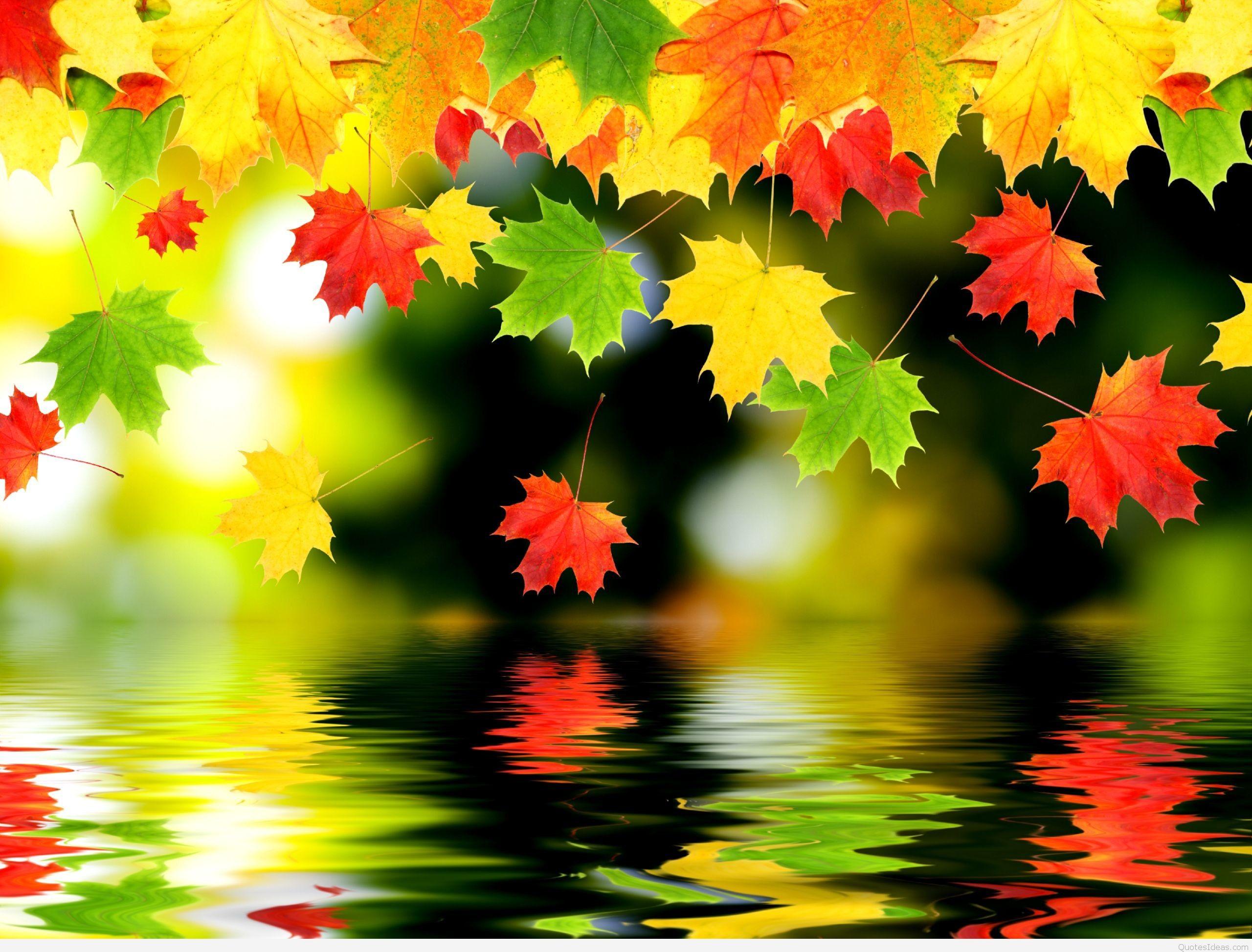 Fall Leaves Wallpapers - Top Free Fall Leaves Backgrounds - WallpaperAccess