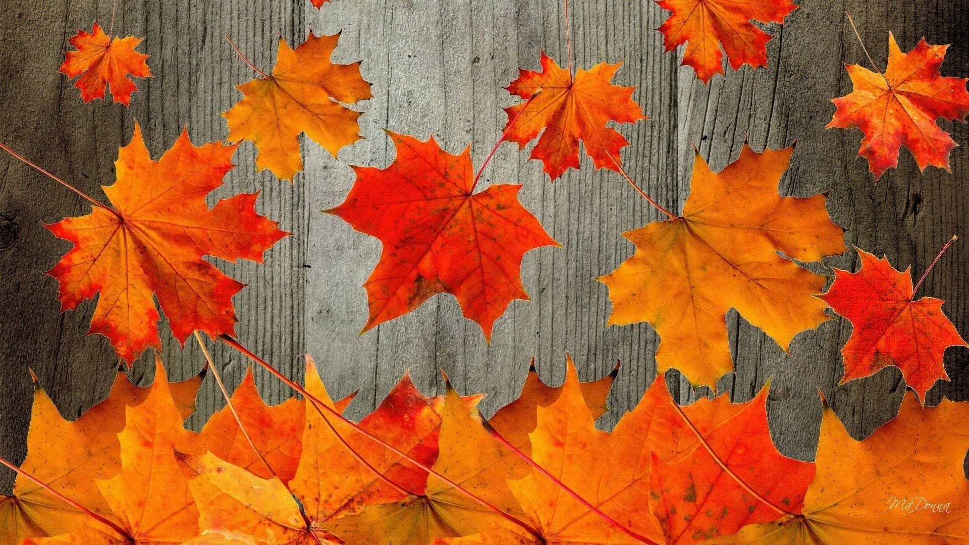 Autumn Desktop Wallpapers - Top Free Autumn Desktop Backgrounds ...