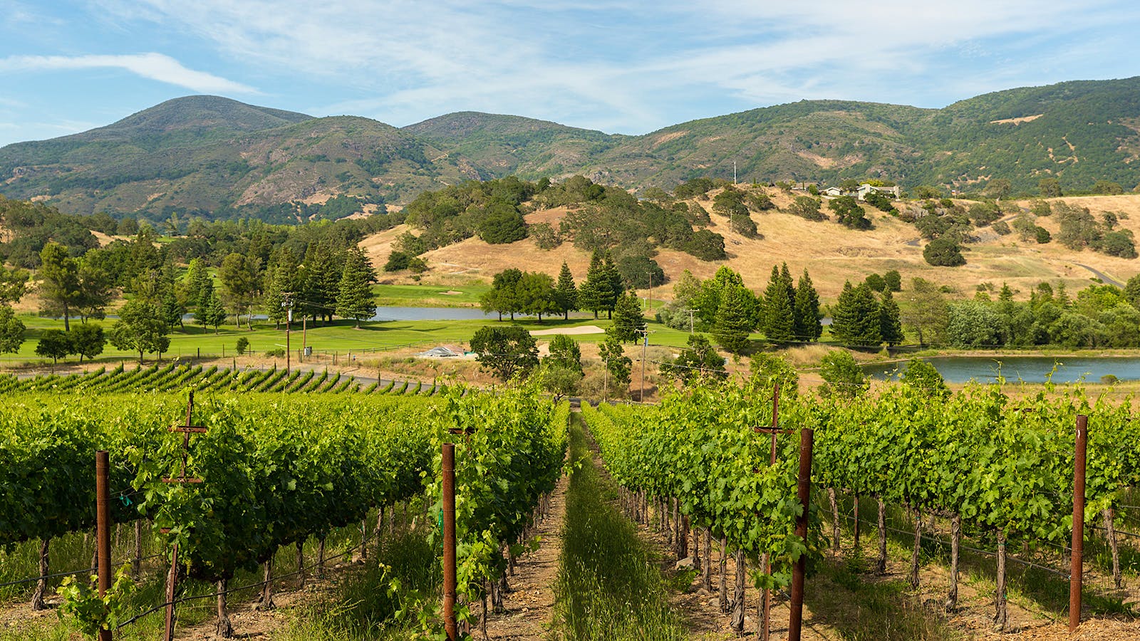 Napa Valley Wallpapers - Top Free Napa Valley Backgrounds - WallpaperAccess