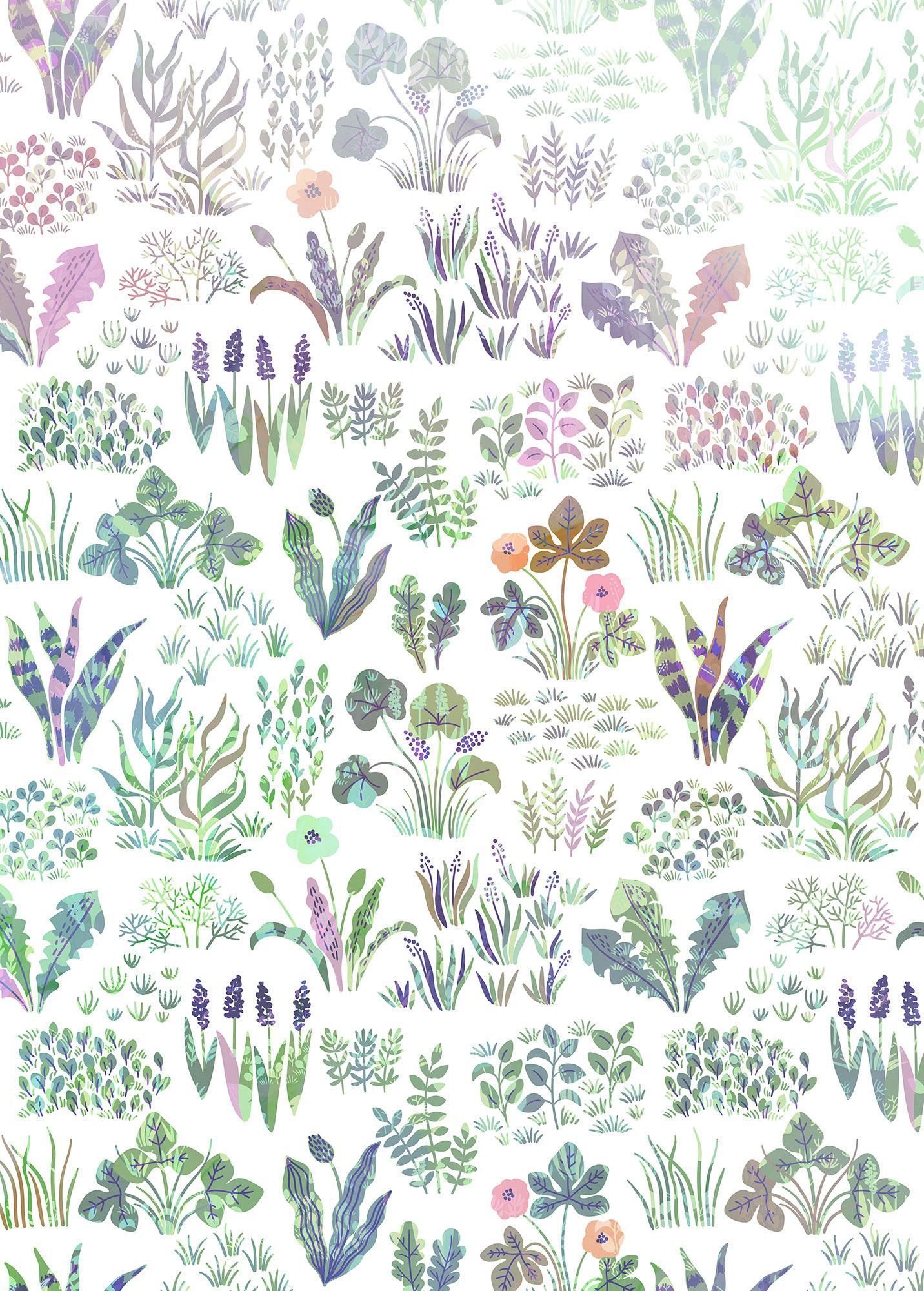 Flower Farm Wallpapers - Top Free Flower Farm Backgrounds - WallpaperAccess