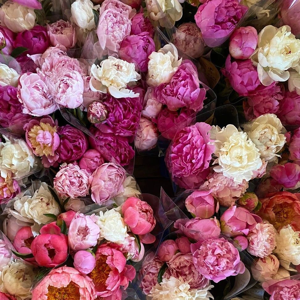 Flower Farm Wallpapers - Top Free Flower Farm Backgrounds - WallpaperAccess