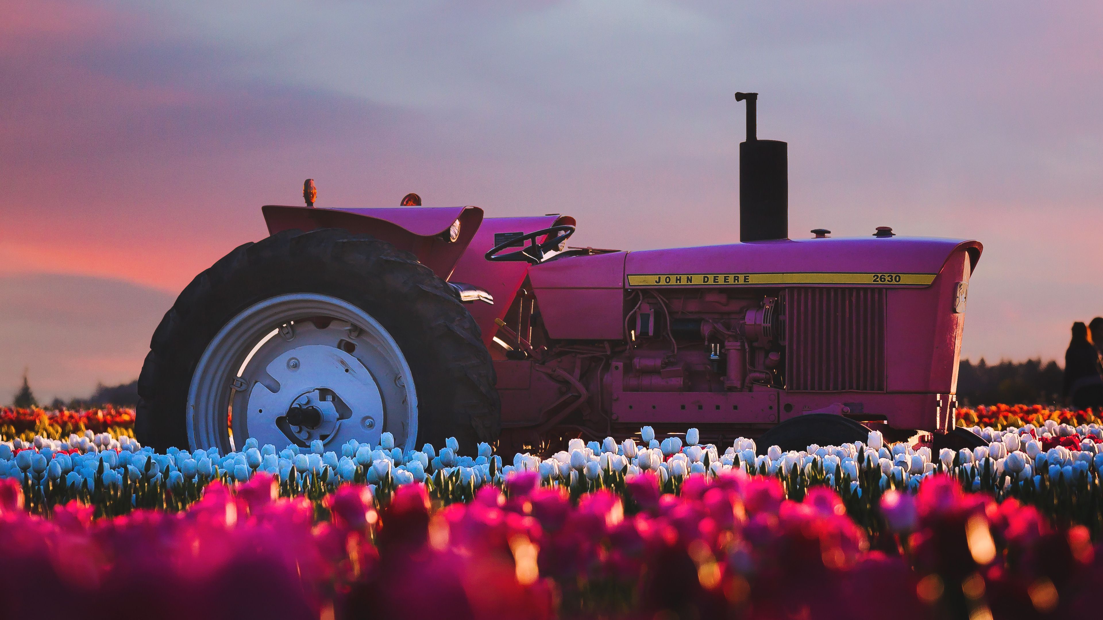 Flower Farm Wallpapers - Top Free Flower Farm Backgrounds - WallpaperAccess