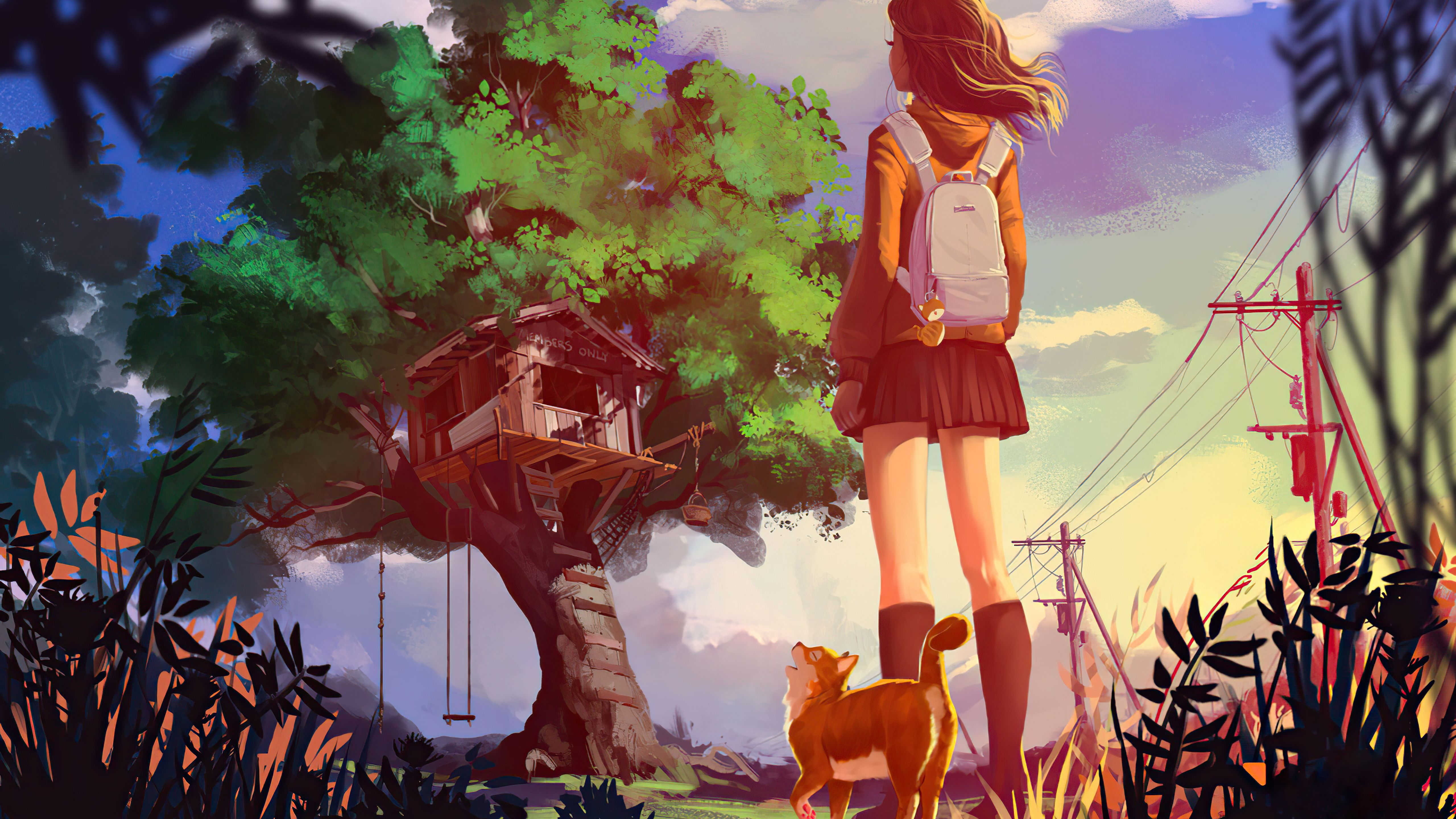 Hideout Wallpapers - Top Free Hideout Backgrounds - WallpaperAccess