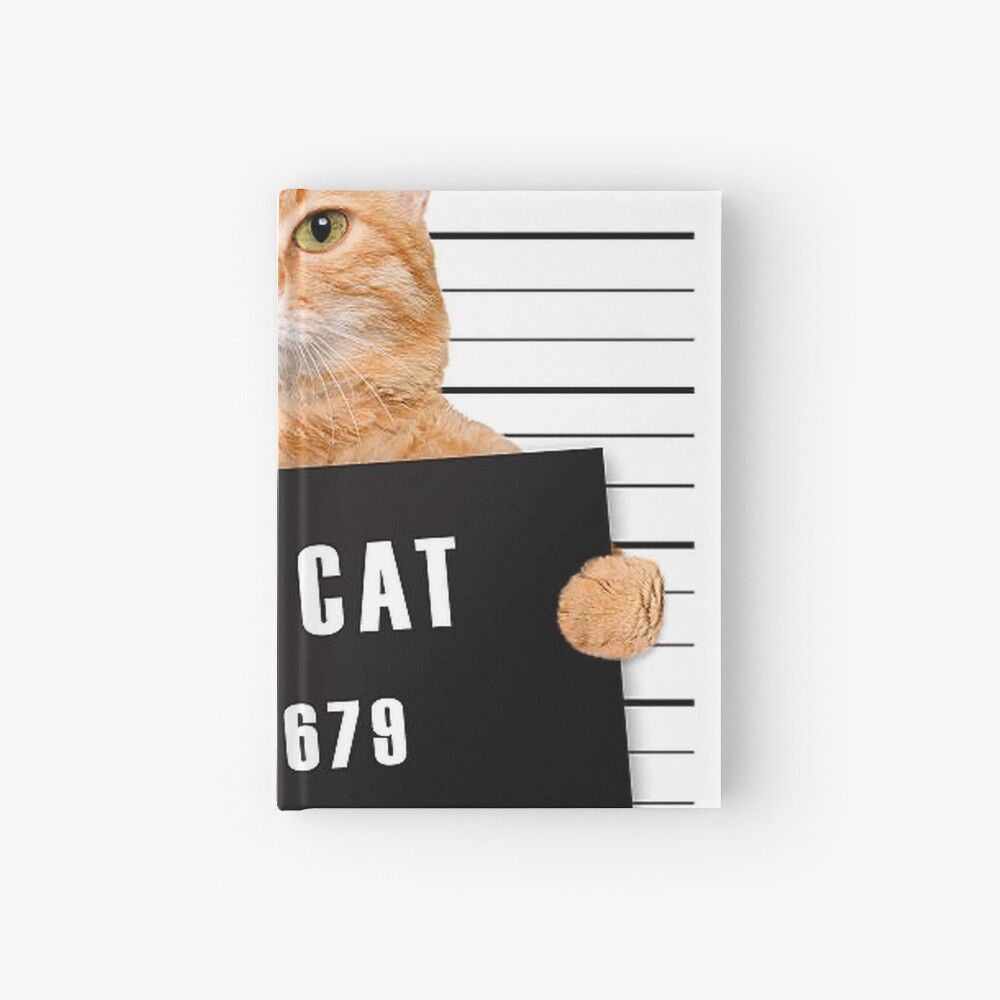 Bad Cat Wallpapers - Top Free Bad Cat Backgrounds - WallpaperAccess