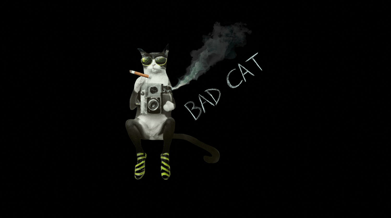 Bad Cat Wallpapers - Top Free Bad Cat Backgrounds - WallpaperAccess