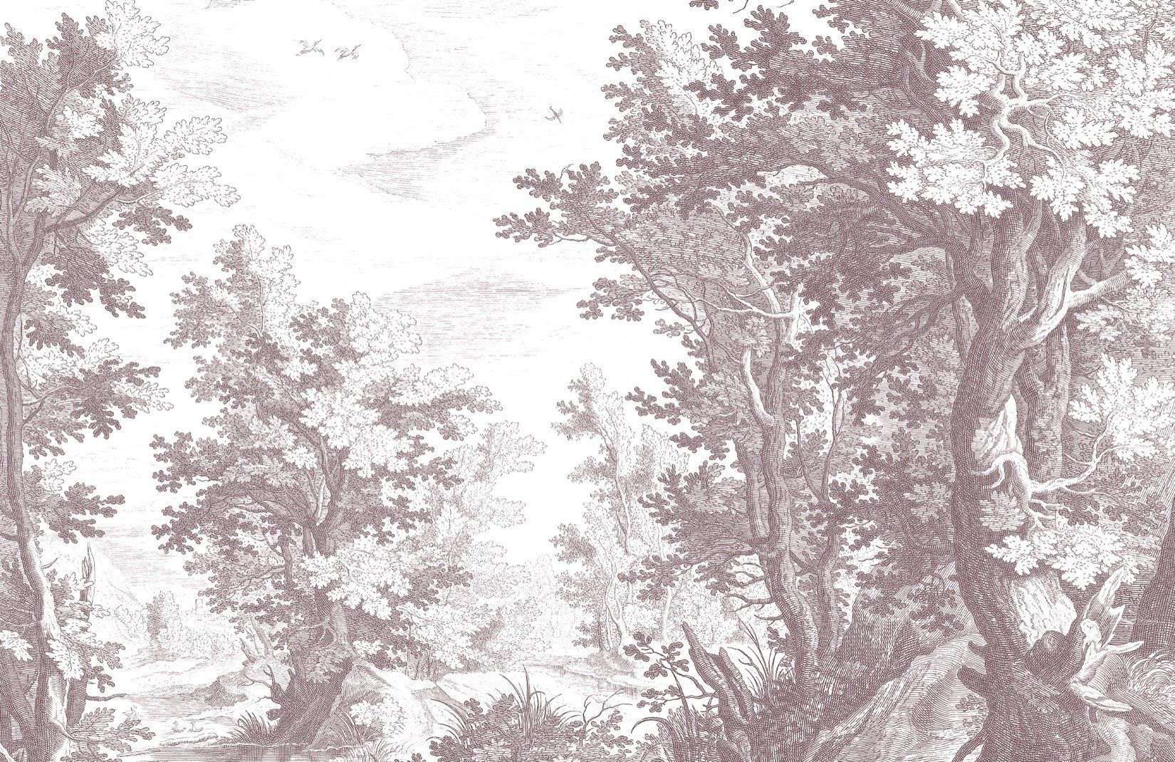 Forest Illustration Wallpapers - Top Free Forest Illustration ...