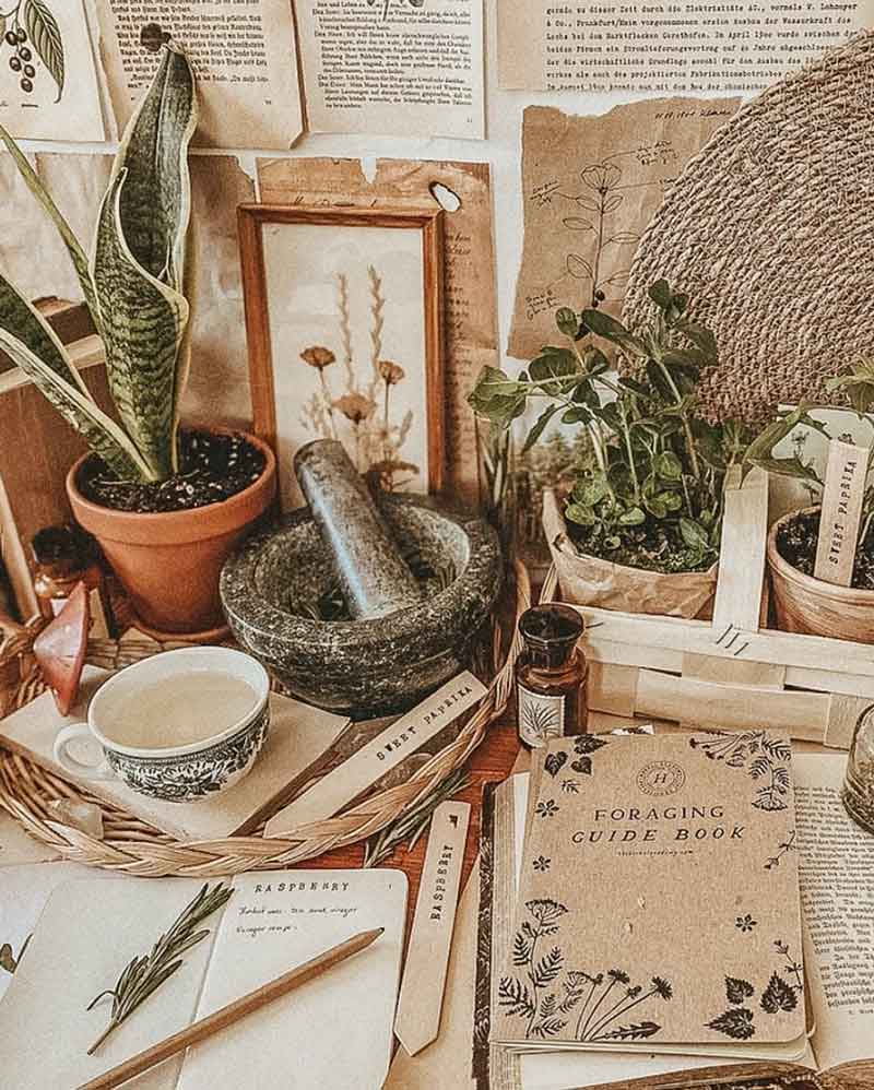 Witchcore Wallpapers - Top Free Witchcore Backgrounds - WallpaperAccess