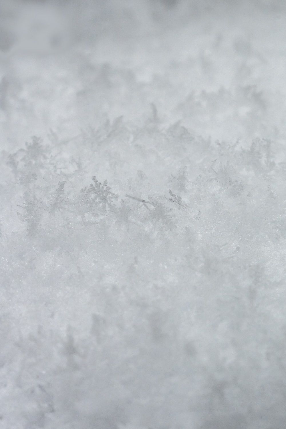 Snow Ground Wallpapers - Top Free Snow Ground Backgrounds - WallpaperAccess