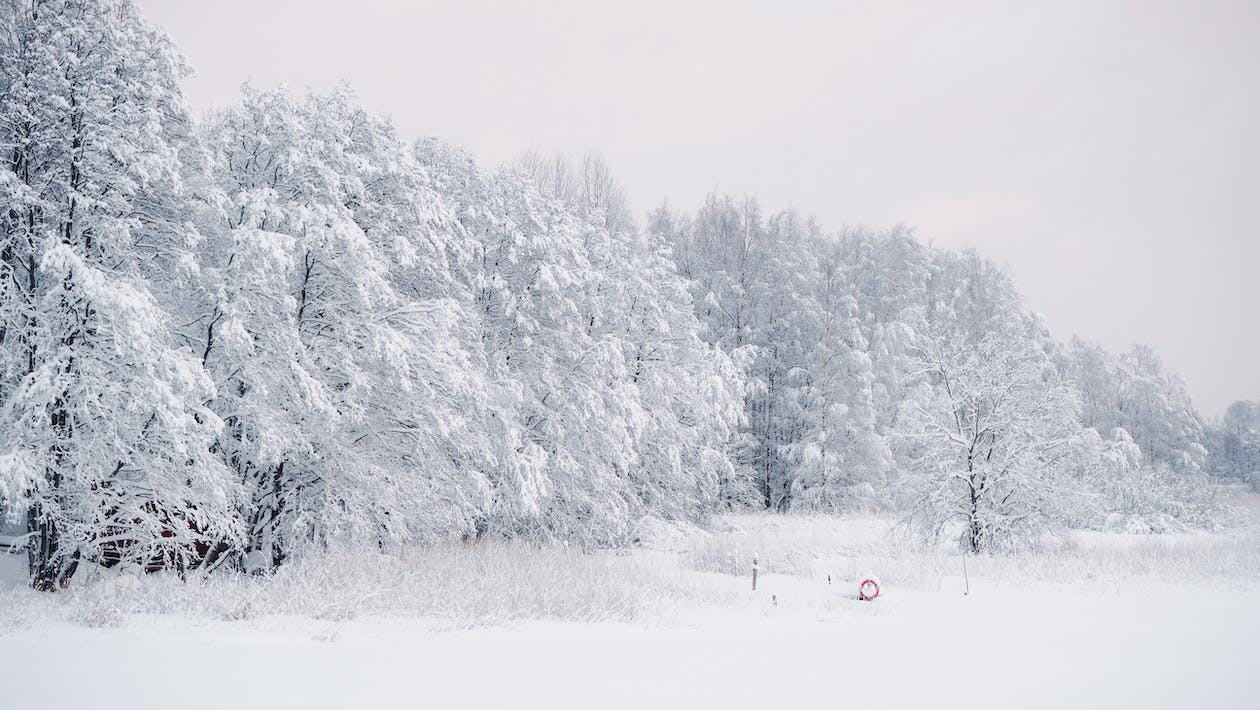 Snow Ground Wallpapers - Top Free Snow Ground Backgrounds - WallpaperAccess