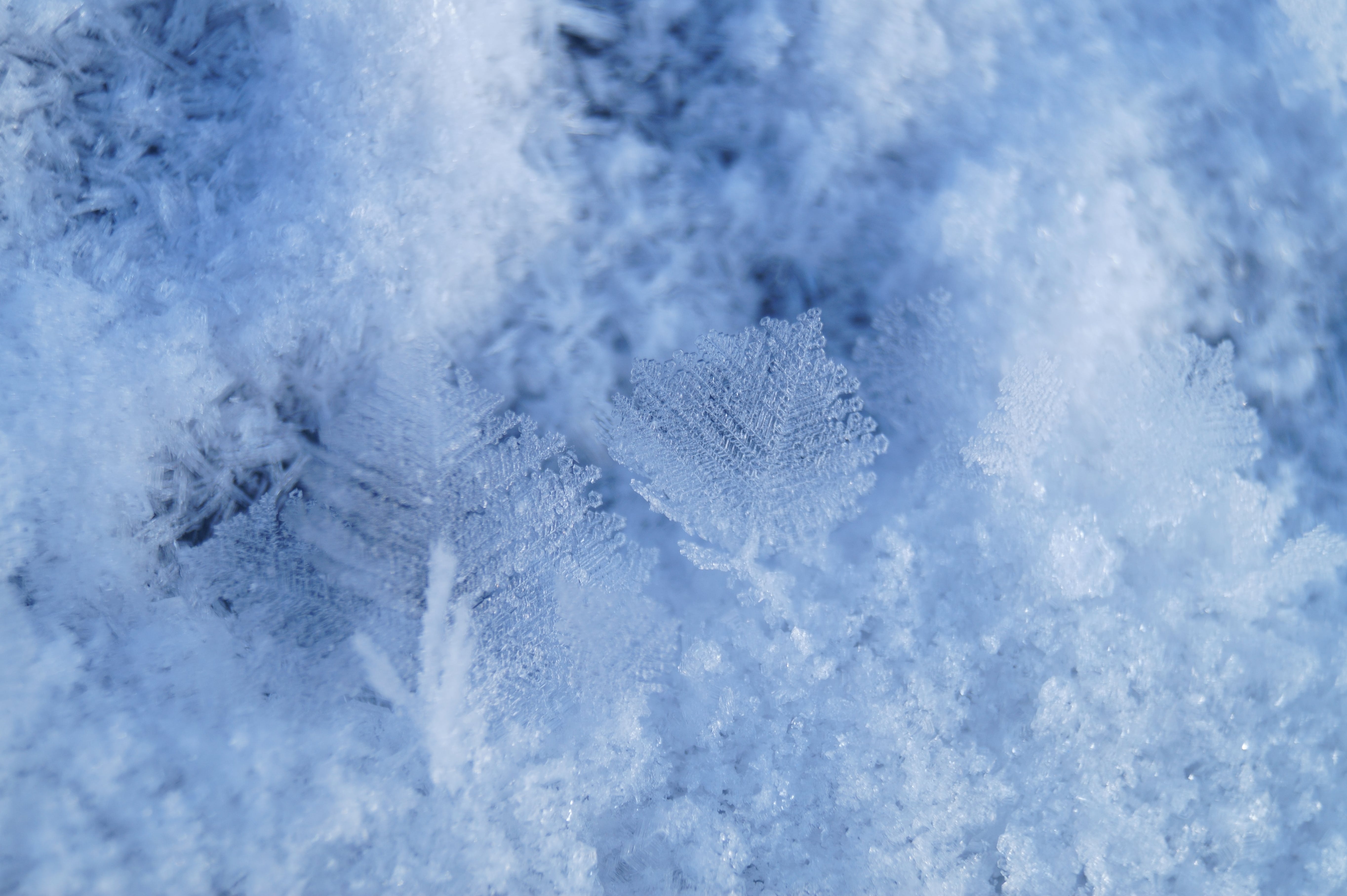 Snow Ground Wallpapers - Top Free Snow Ground Backgrounds - WallpaperAccess