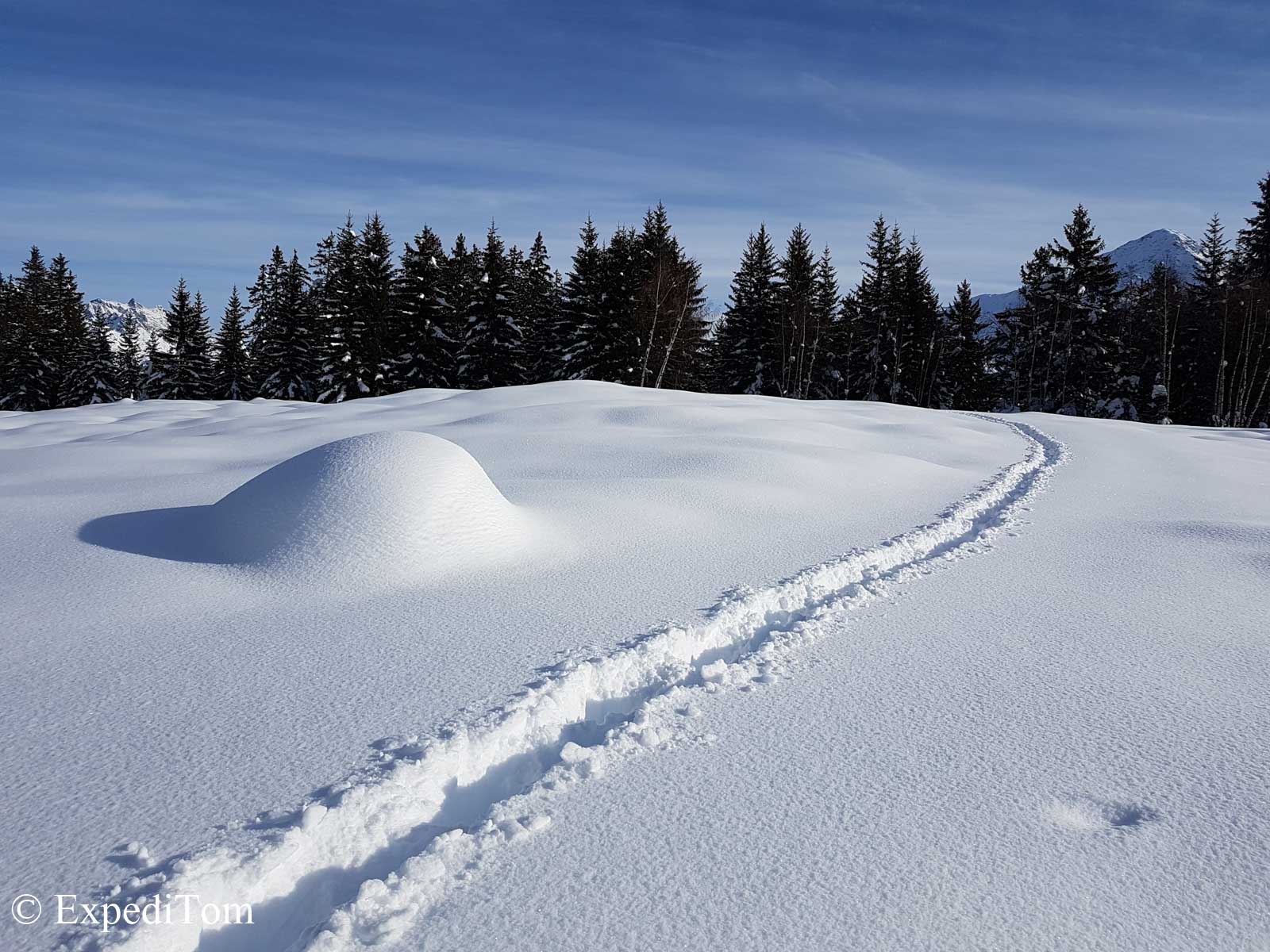Snow Ground Wallpapers - Top Free Snow Ground Backgrounds - WallpaperAccess
