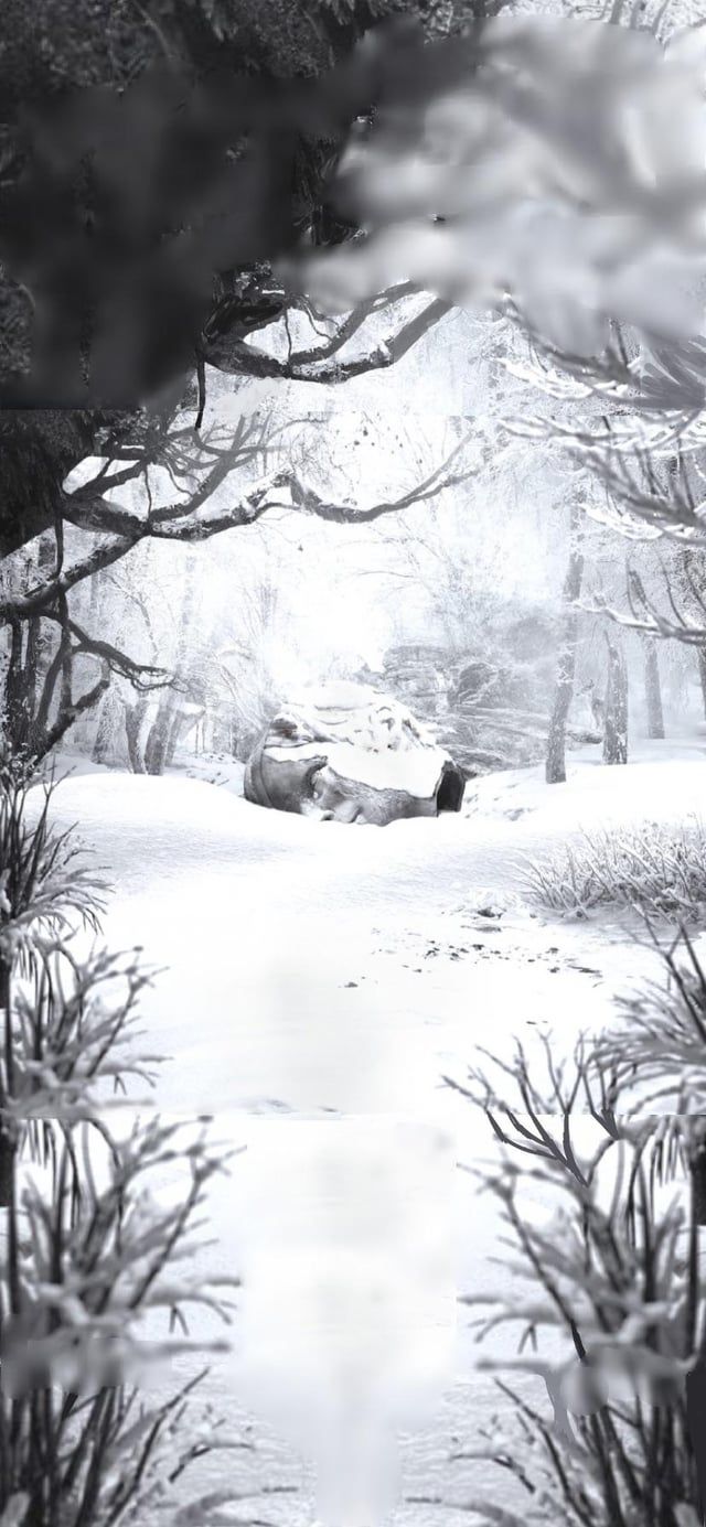 Snow Ground Wallpapers - Top Free Snow Ground Backgrounds - WallpaperAccess