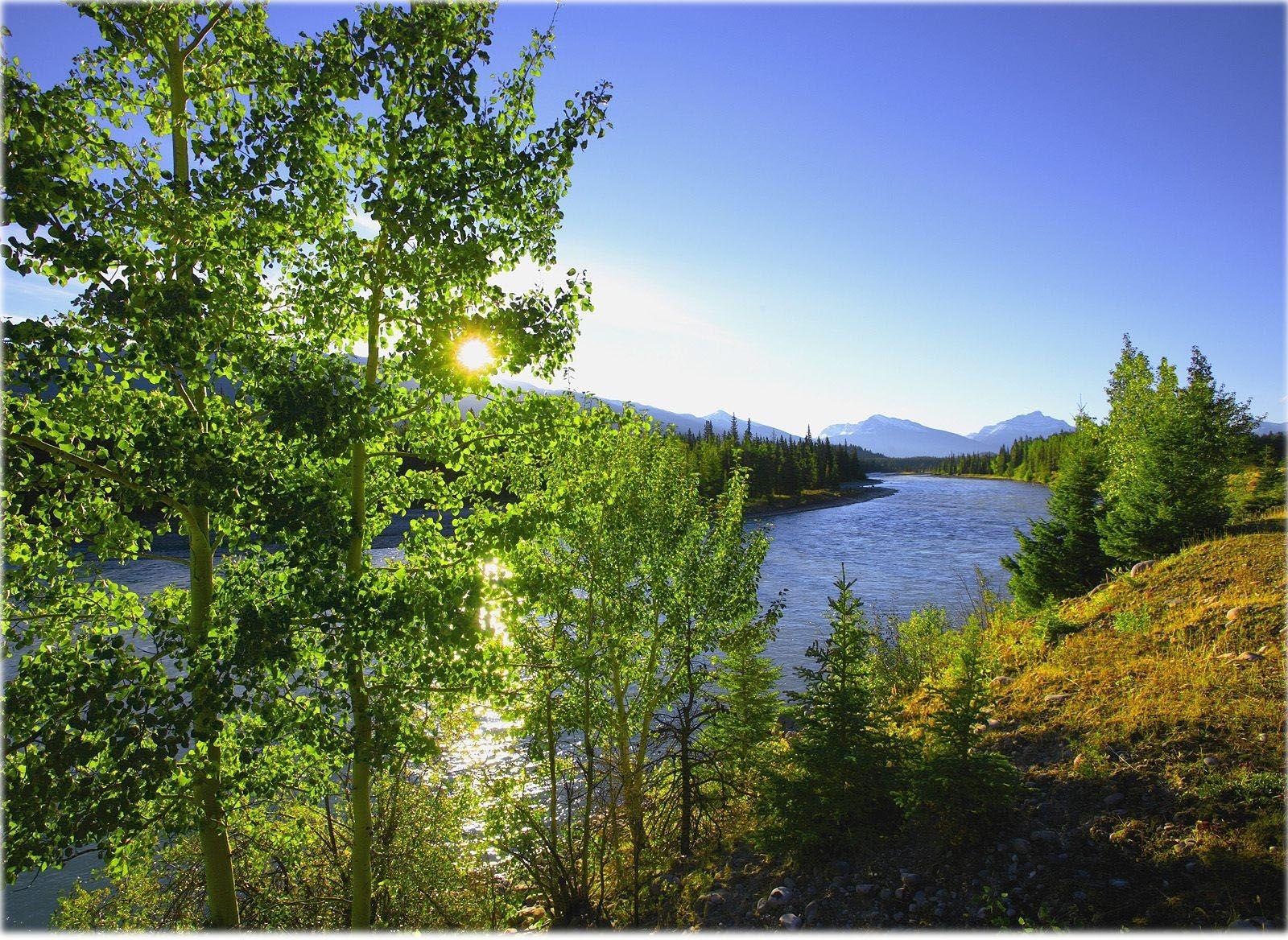 Green Scenery Desktop Wallpapers - Top Những Hình Ảnh Đẹp