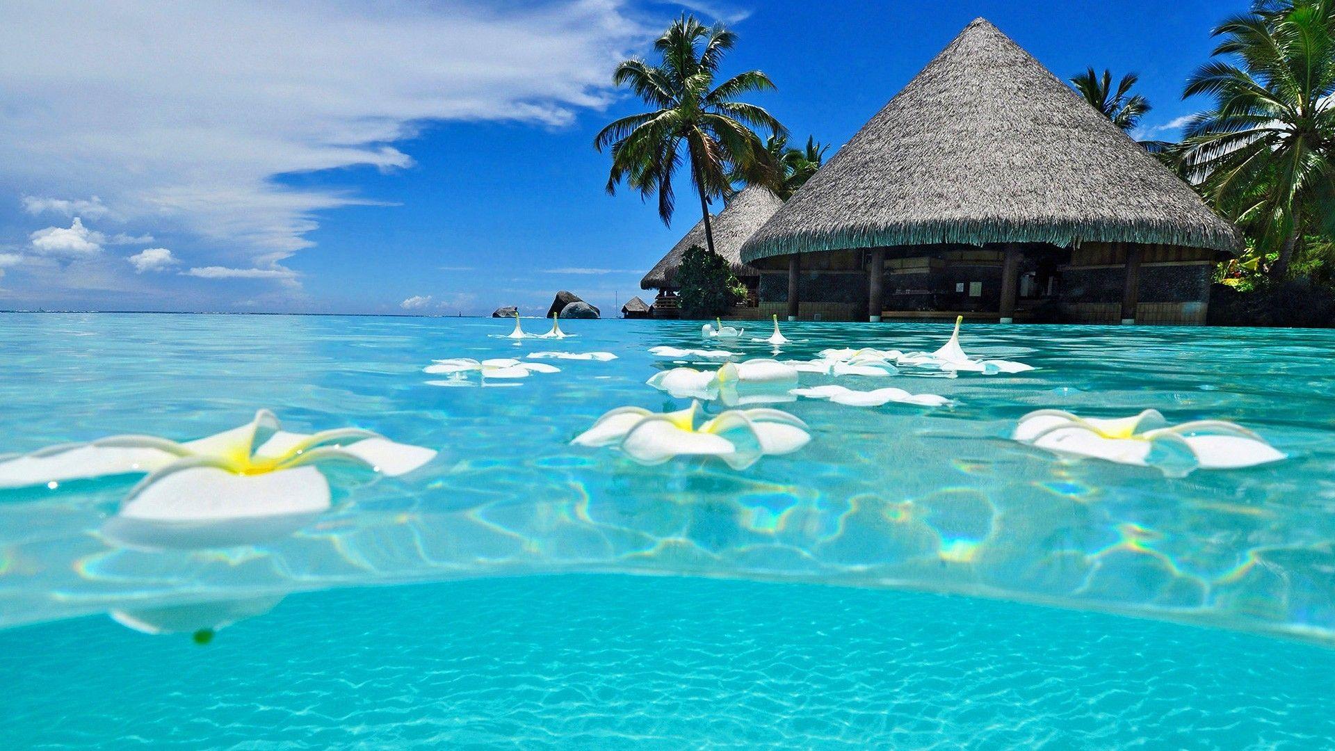 Mexico Wallpapers - Top Free Mexico Backgrounds - WallpaperAccess