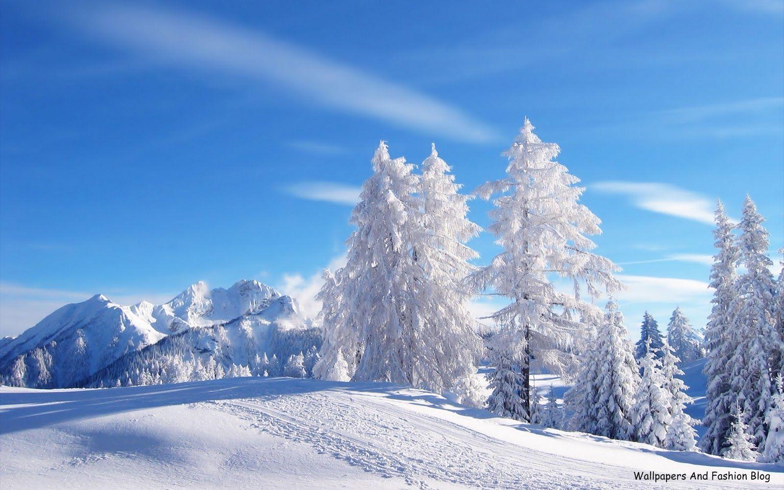 Winter Landscape Wallpapers - Top Free Winter Landscape Backgrounds ...