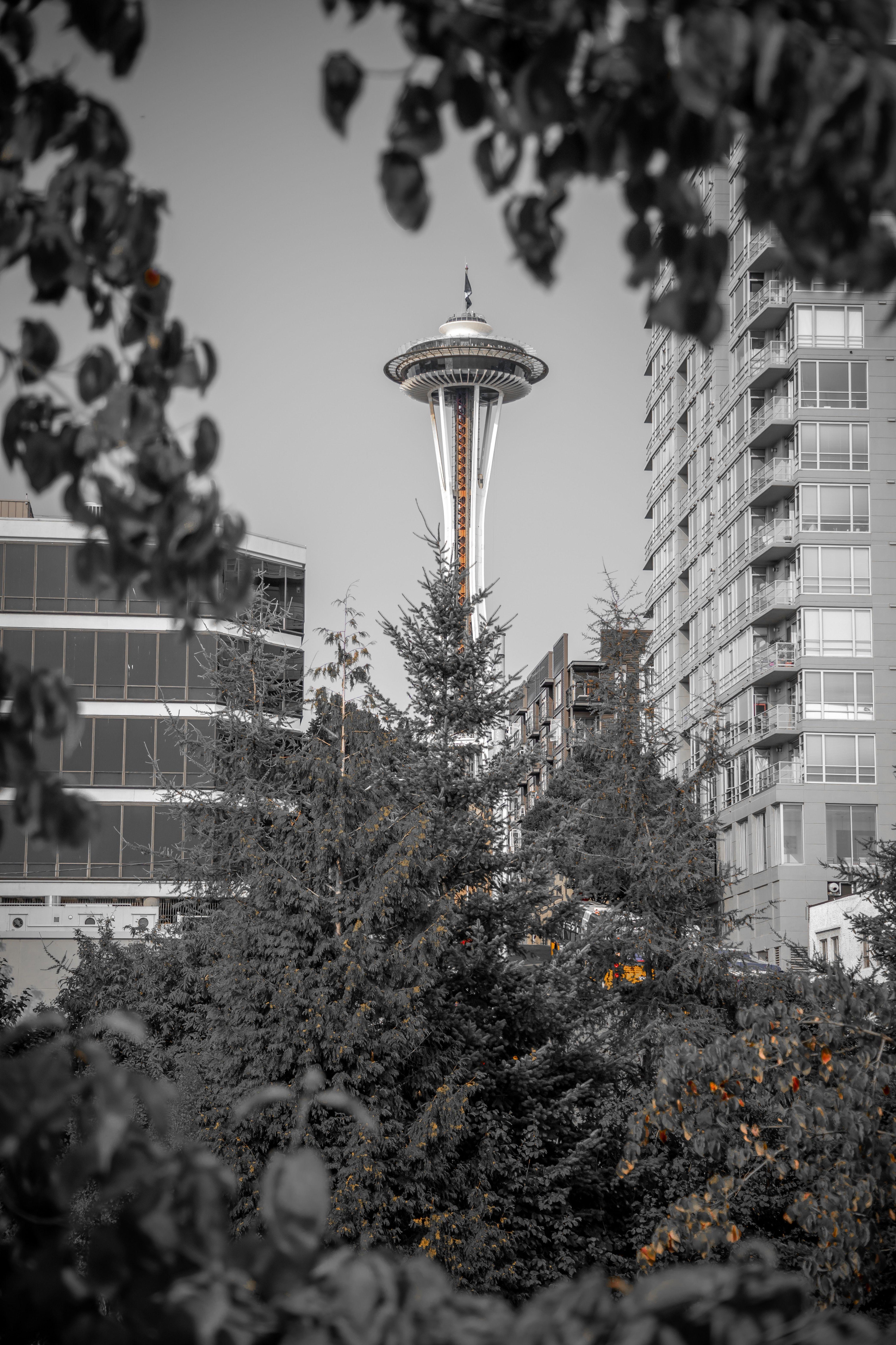 Seattle Black and White Wallpapers - Top Free Seattle Black and White ...