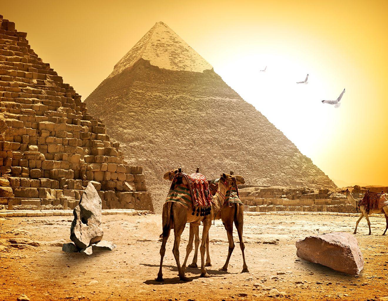 Pyramid Wallpapers - Top Free Pyramid Backgrounds - WallpaperAccess
