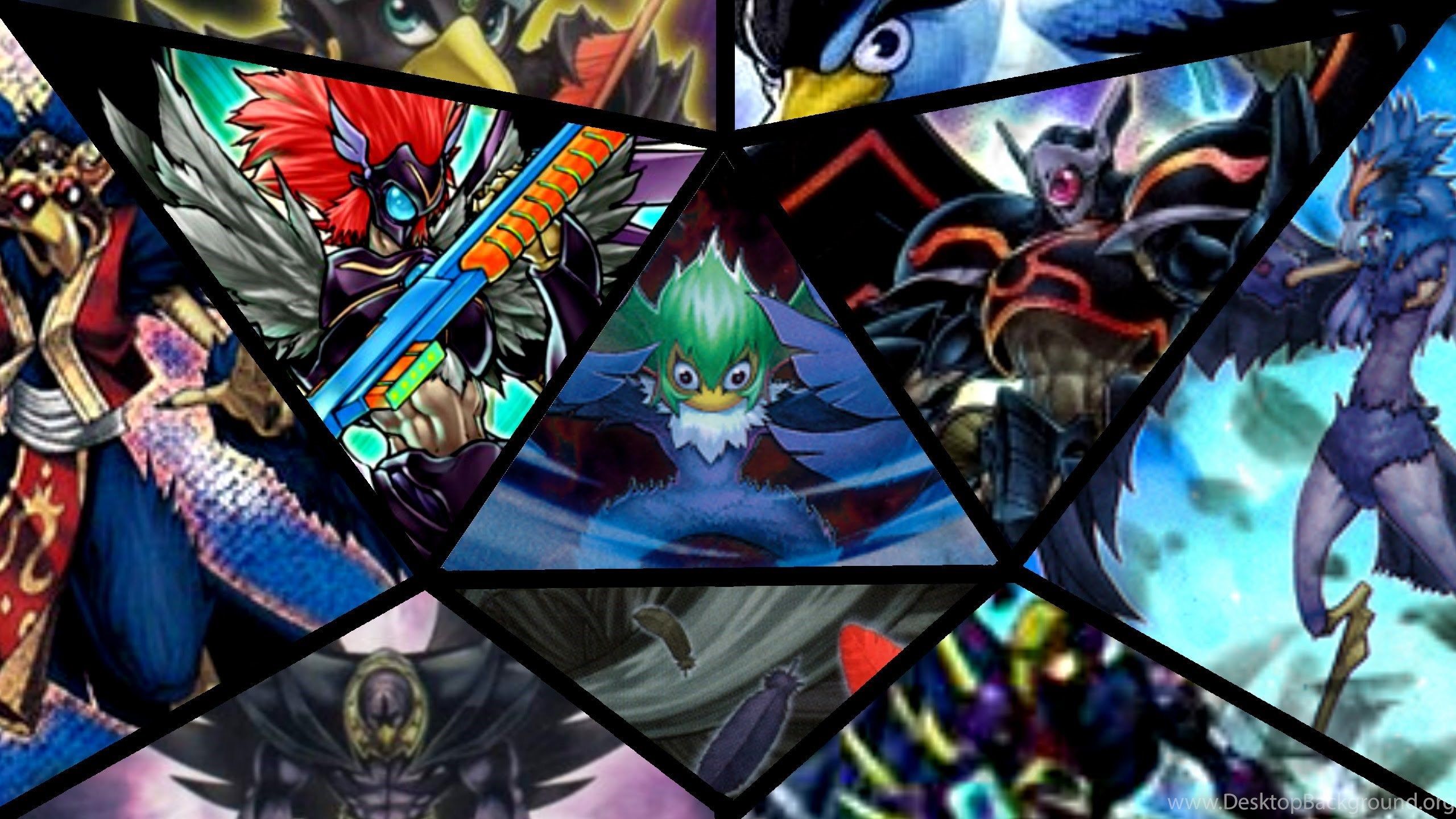 Blackwing Wallpapers - Top Free Blackwing Backgrounds - WallpaperAccess