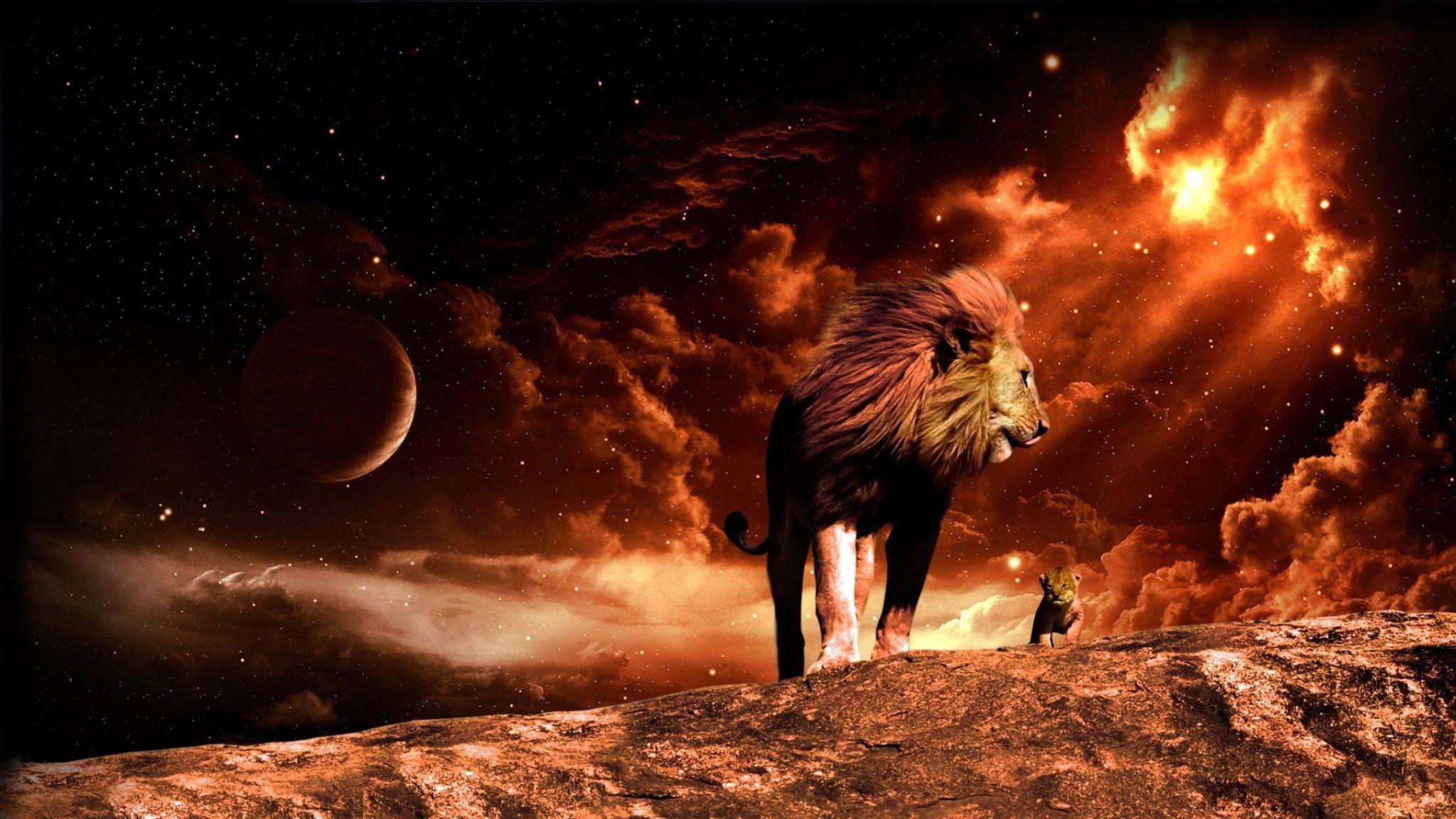 Amazing Lion Wallpapers - Top Free Amazing Lion Backgrounds ...