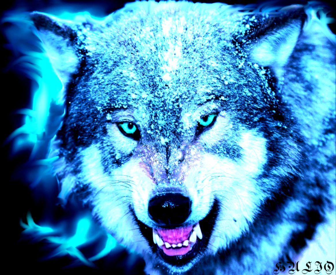 Cool Wolves Wallpapers - Top Free Cool Wolves Backgrounds - WallpaperAccess