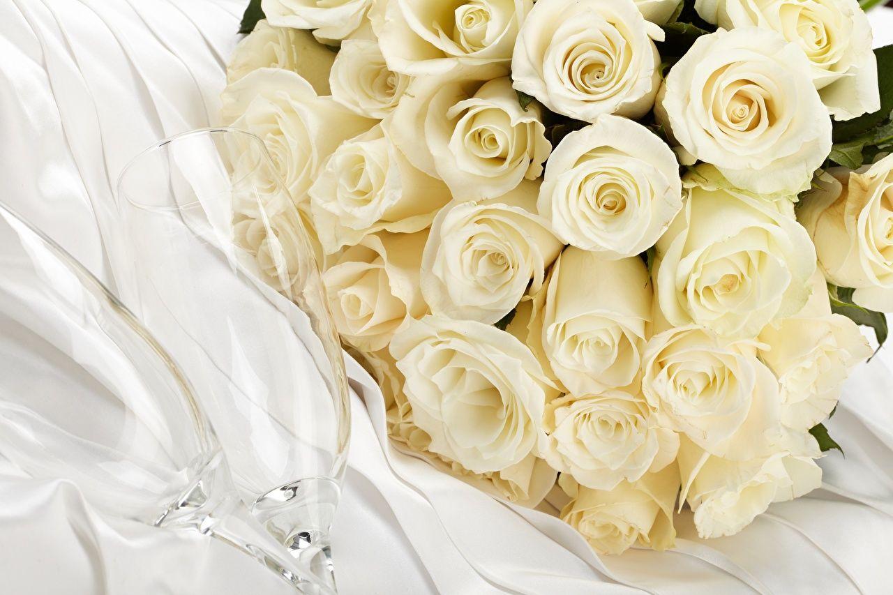 White Roses Wallpapers - Top Free White Roses Backgrounds - WallpaperAccess