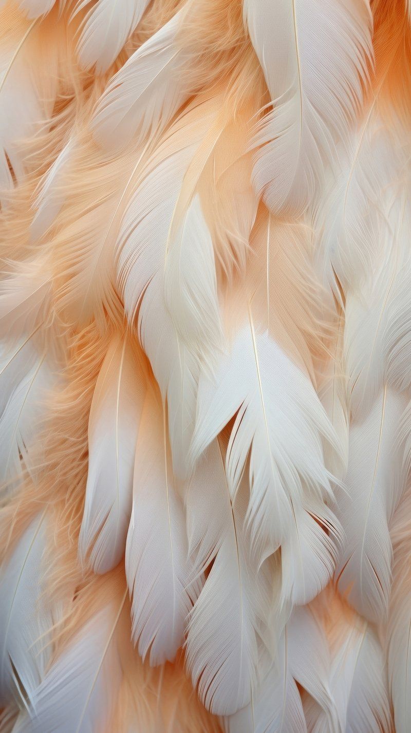 Lightweight Wallpapers - Top Free Lightweight Backgrounds - WallpaperAccess