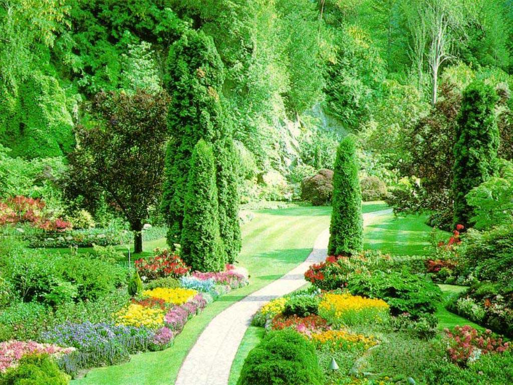 Beautiful Nature Wallpapers - Top Free Beautiful Nature Backgrounds ...