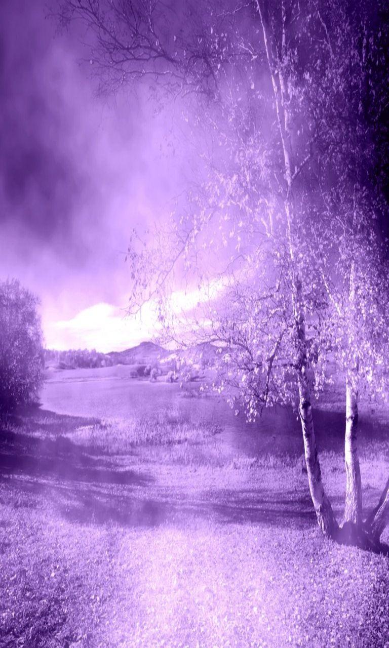 Purple Nature Wallpapers - Top Free Purple Nature Backgrounds ...