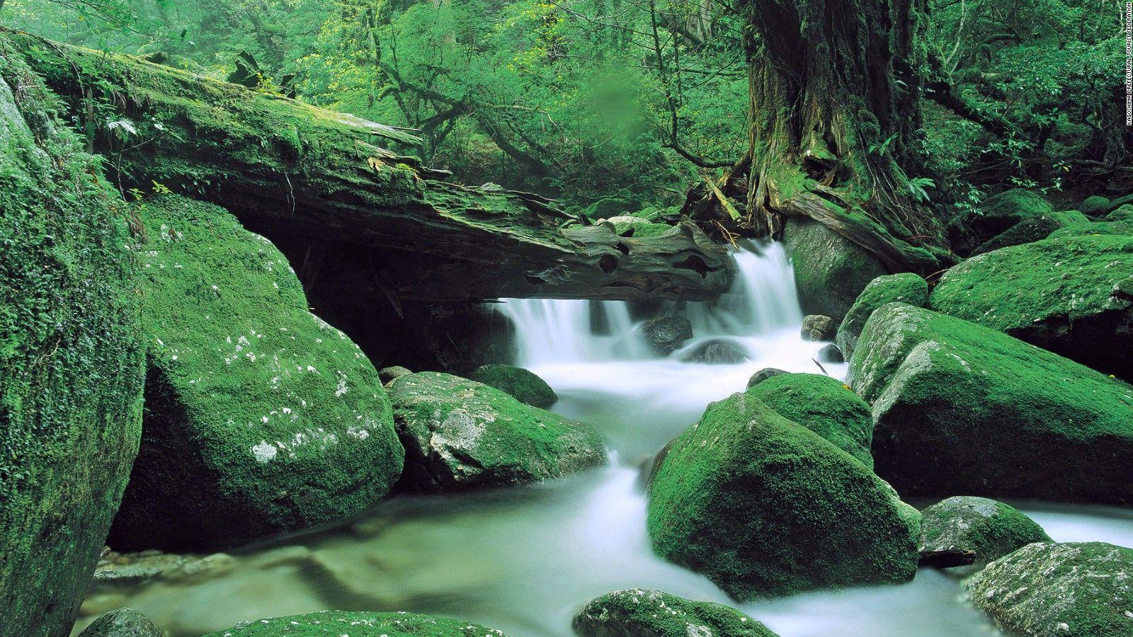 Beautiful Nature Japan Wallpapers - Top Free Beautiful Nature Japan ...