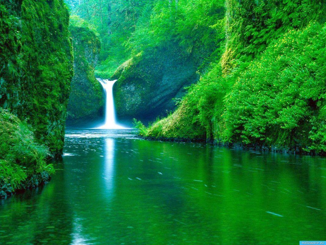 Really Beautiful Nature Wallpapers - Top Free Really Beautiful Nature ...