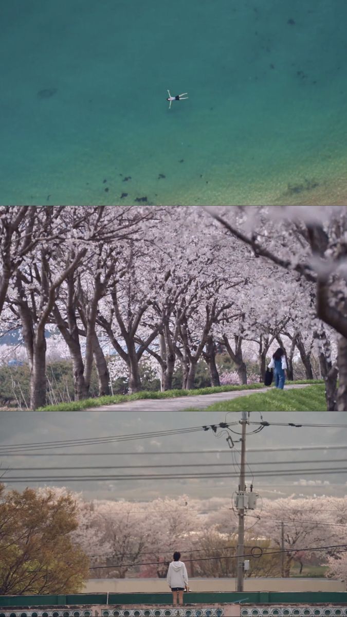 Summer Strike Wallpapers - Top Free Summer Strike Backgrounds ...