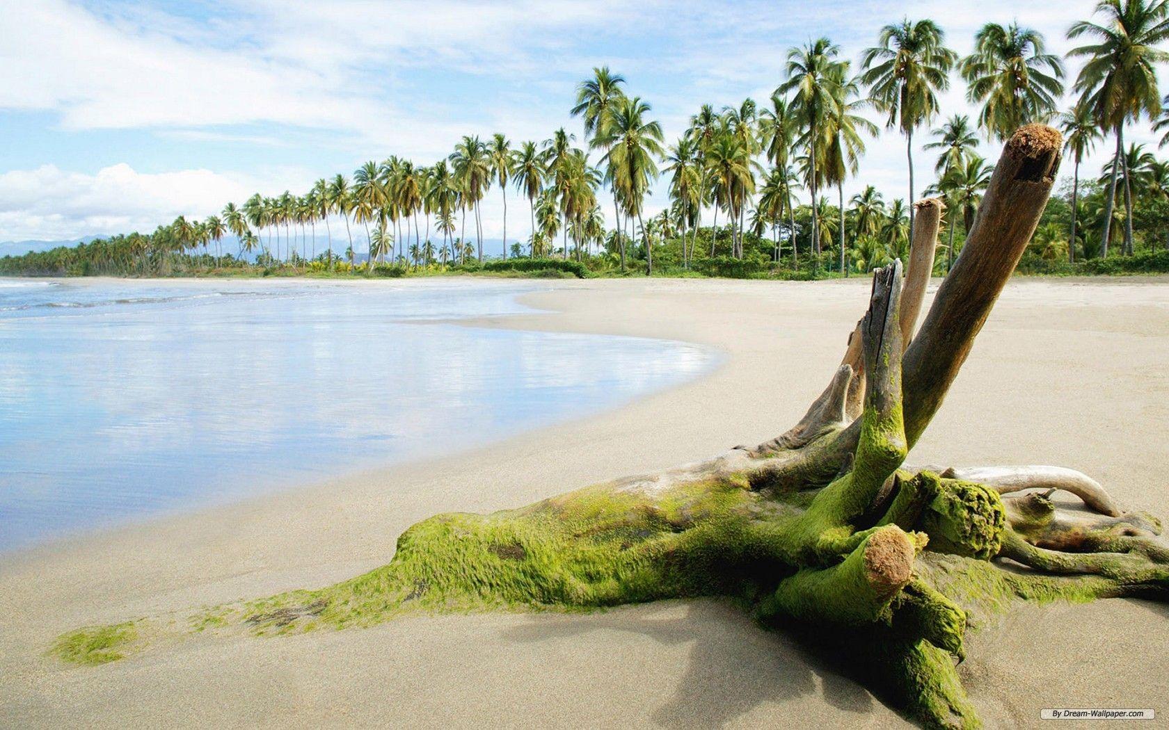 Galapagos Islands Wallpapers - Top Free Galapagos Islands Backgrounds ...