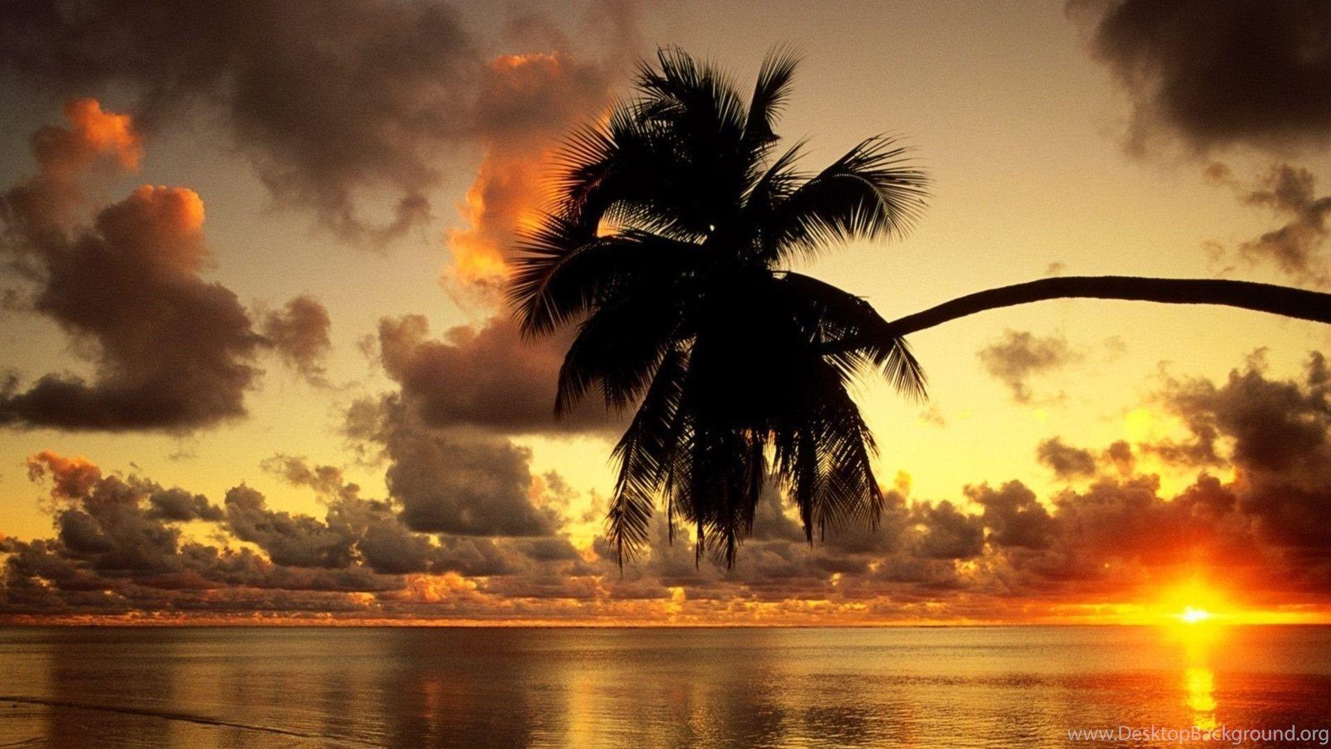 Island Sunset Wallpapers - Top Free Island Sunset Backgrounds ...