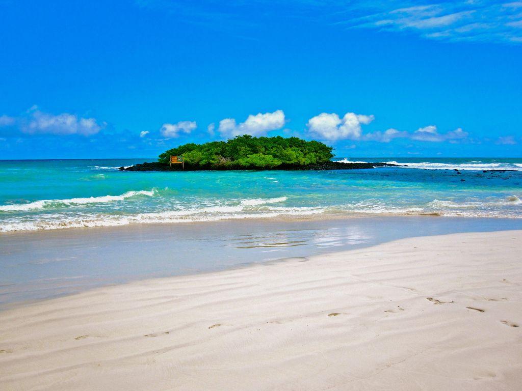 Galapagos Islands Wallpapers - Top Free Galapagos Islands Backgrounds ...