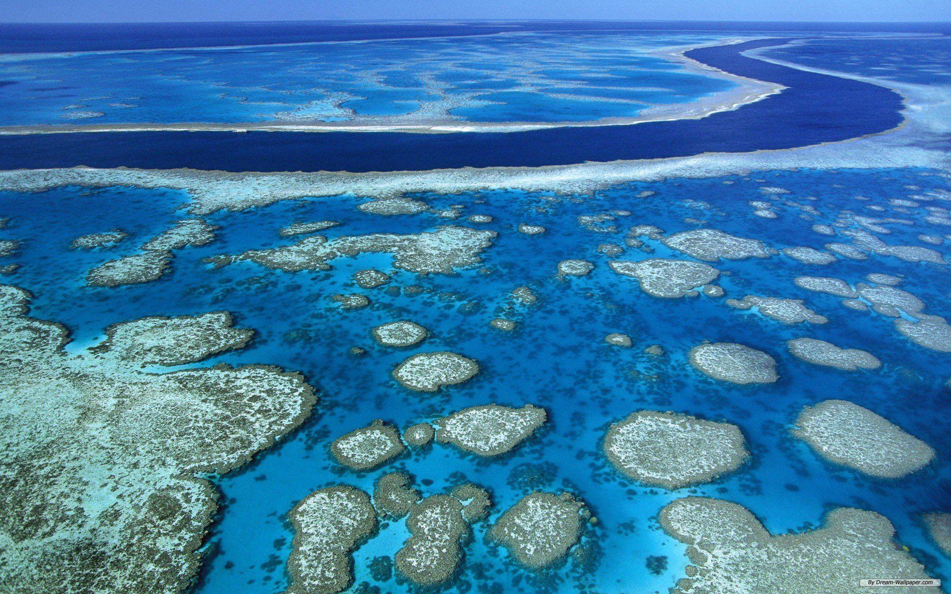 Galapagos Islands Wallpapers - Top Free Galapagos Islands Backgrounds ...