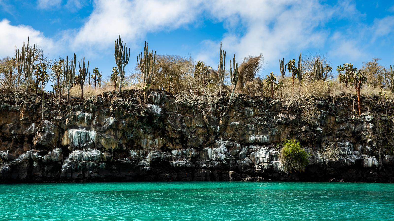 Galapagos Islands Wallpapers - Top Free Galapagos Islands Backgrounds ...