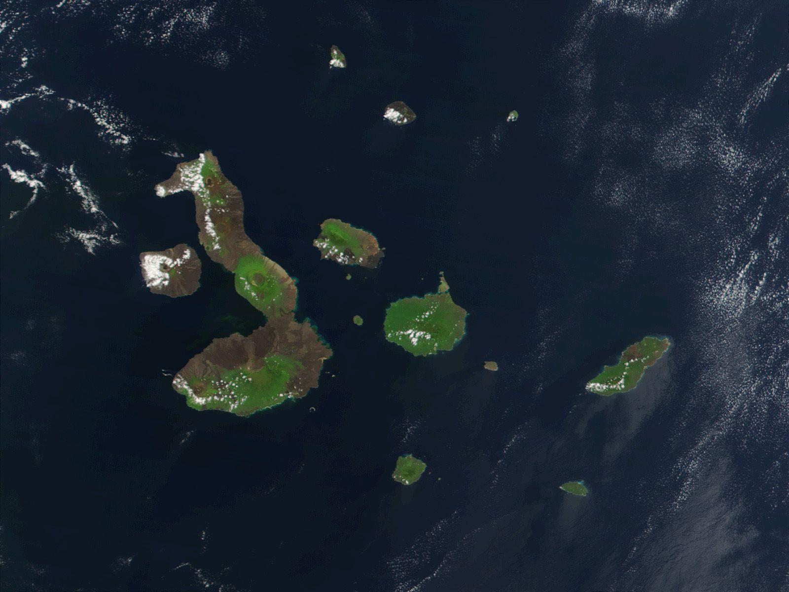 Galapagos Islands Wallpapers - Top Free Galapagos Islands Backgrounds ...
